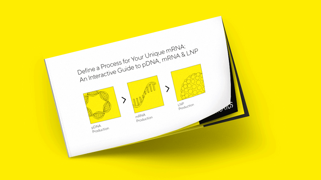 An Interactive Guide to pDNA, mRNA, and LNP Production to Help You ...