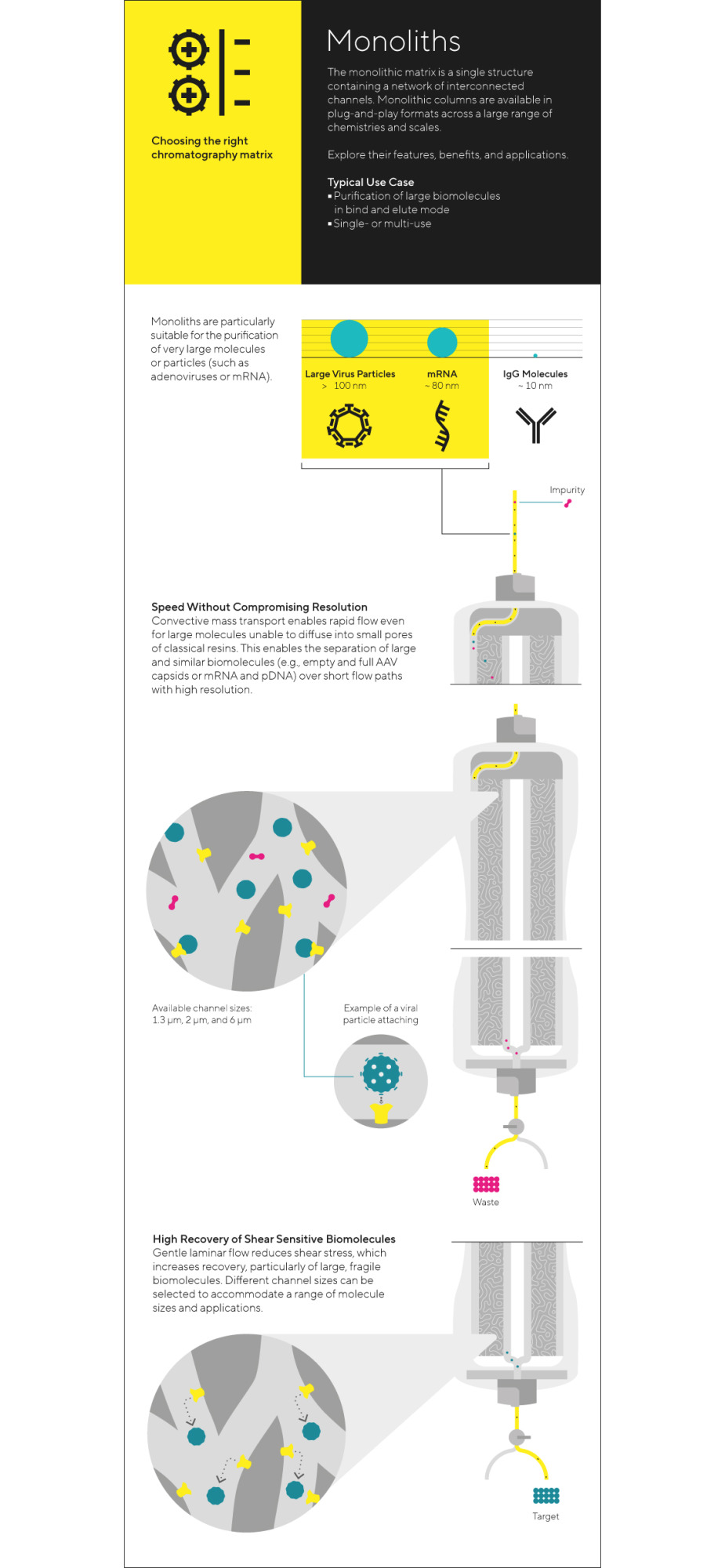 Chromatography Methods: Monolith Chromatography