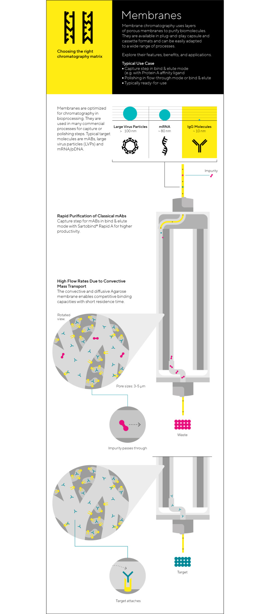 Chromatography Methods: Membrane Chromatography