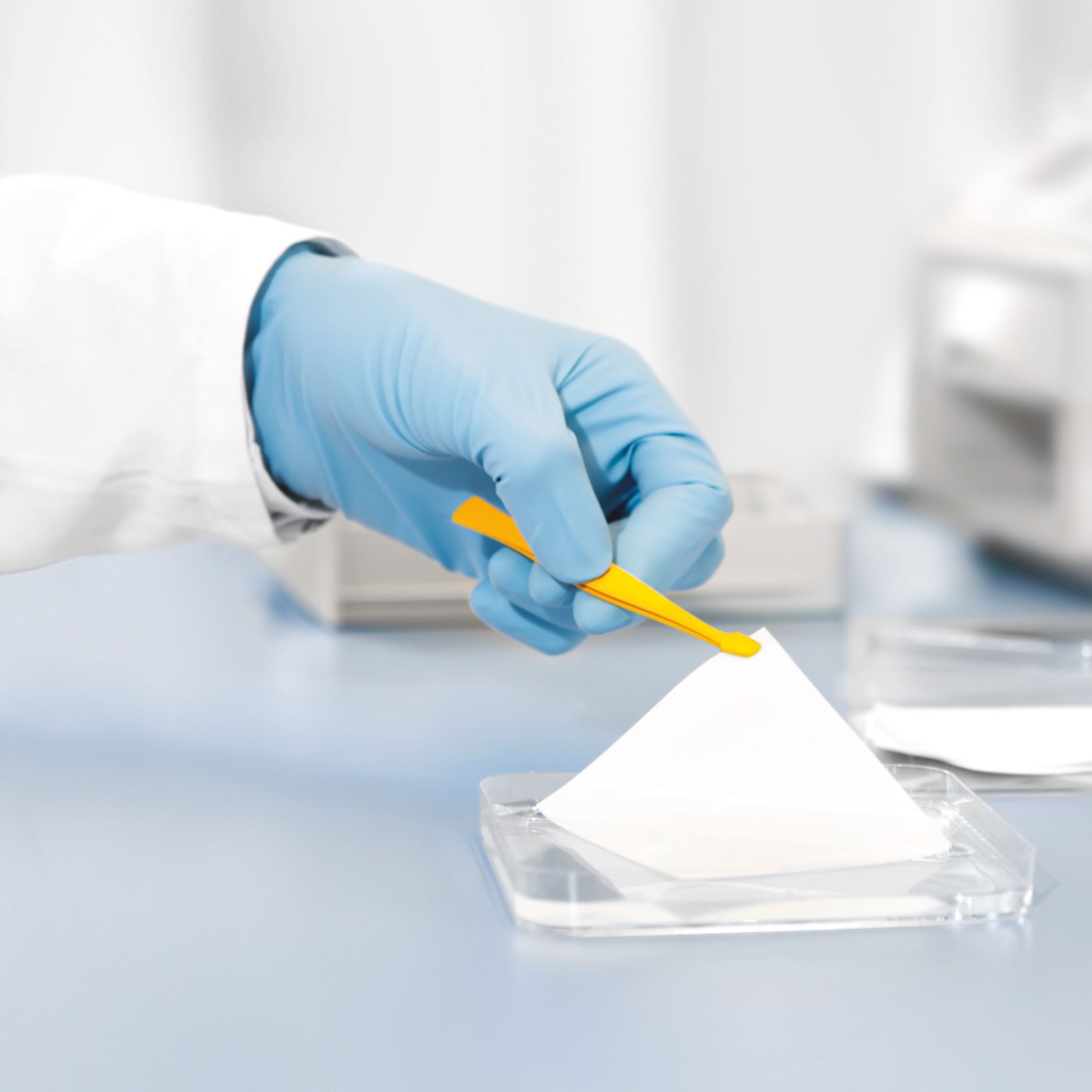 Blotting Paper | Nitrocellulose Membranes | Sartorius