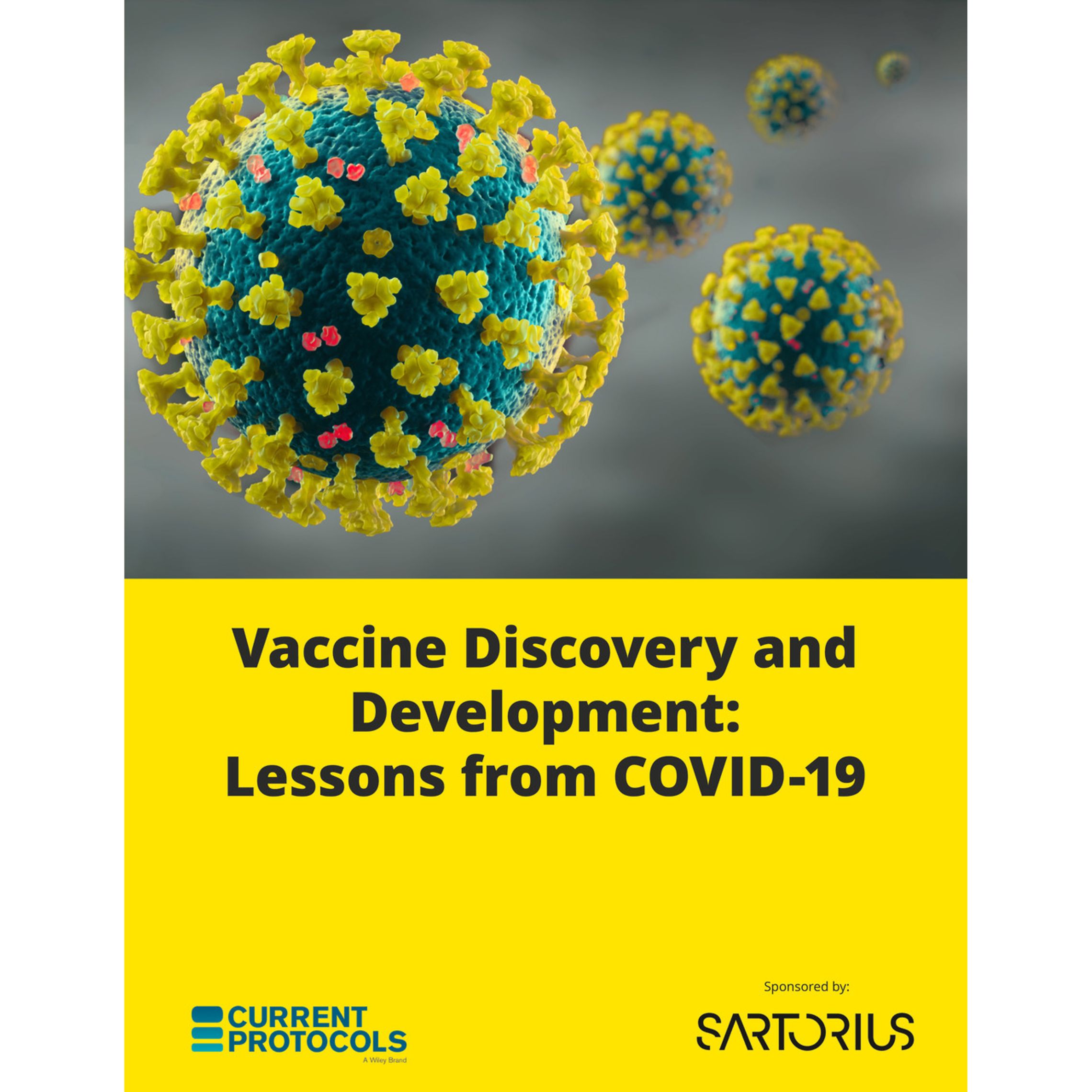 Vaccine Discovery and Development: Lessons from COVID-19 eBook | Sartorius