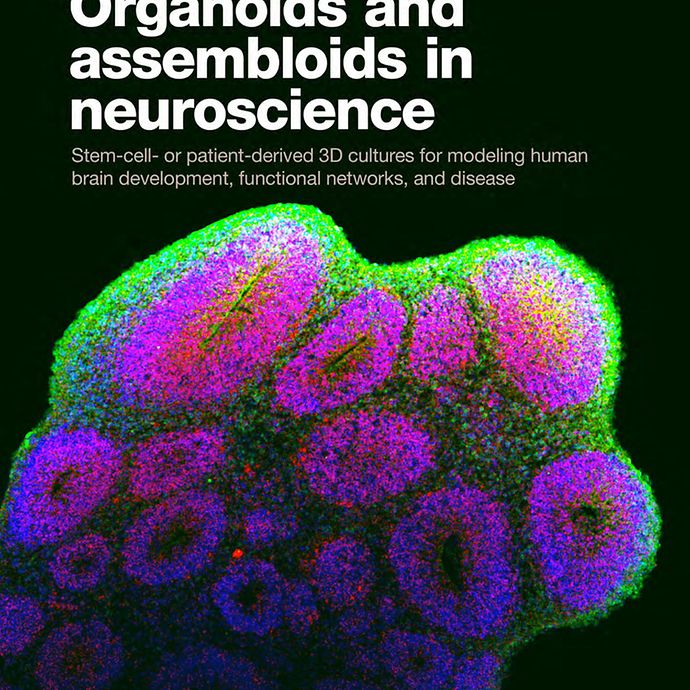 Organoids and Assembloids in Neuroscience eBook | Sartorius