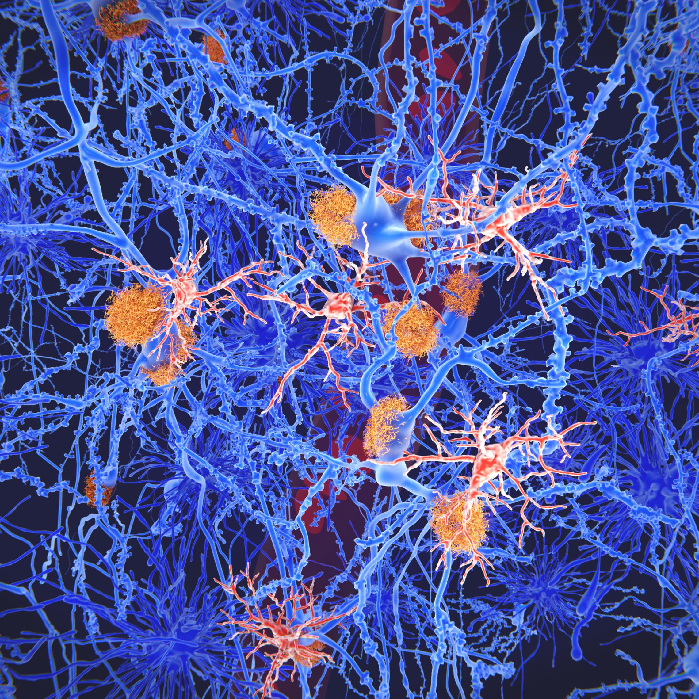 Incucyte® and CellCelector Flex Bundle Promotion for Advanced Cell ...