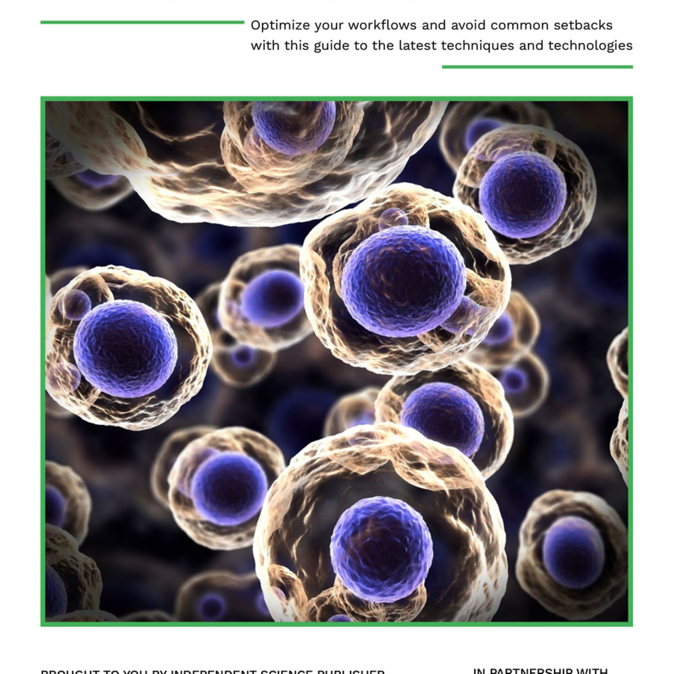 Immune Cell Characterization: Flow Cytometry Explained | Sartorius