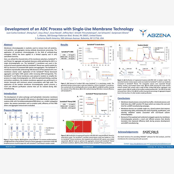 Development of an ADC Process with Single-Use Membrane Technology
