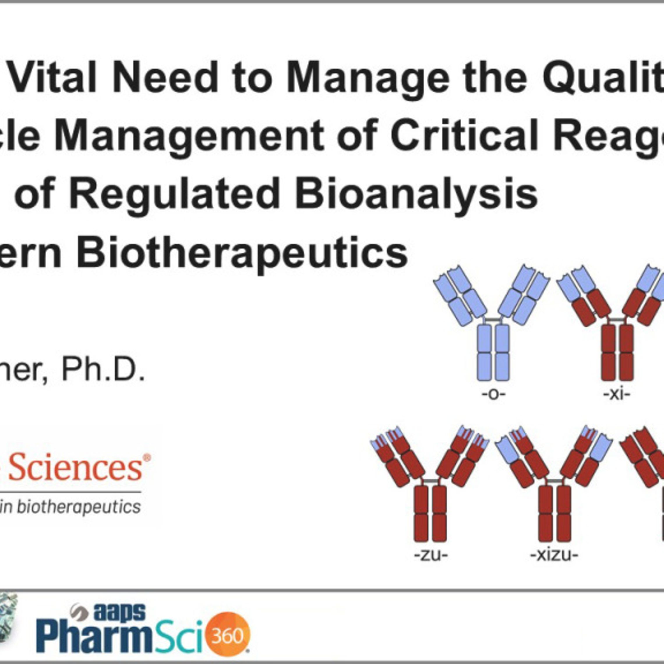 Utilizing Octet Platform for Characterizing Critical Reagents in ...
