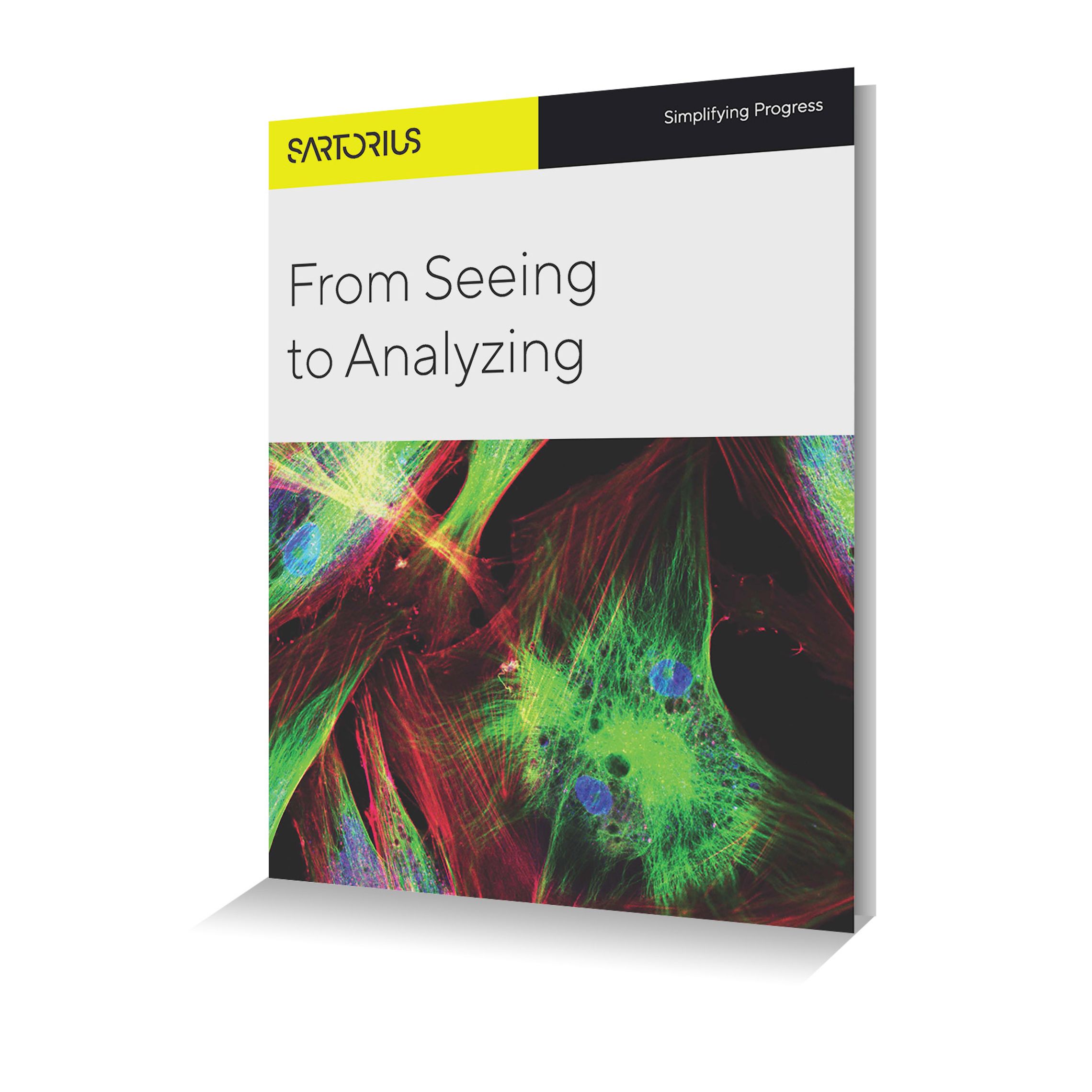 From Seeing to Analyzing Poster | Sartorius