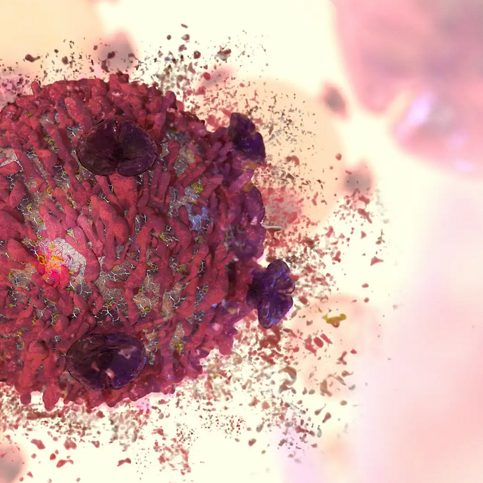 How to Measure Immune Cell Killing of Tumor Cells Effectively Webinar ...