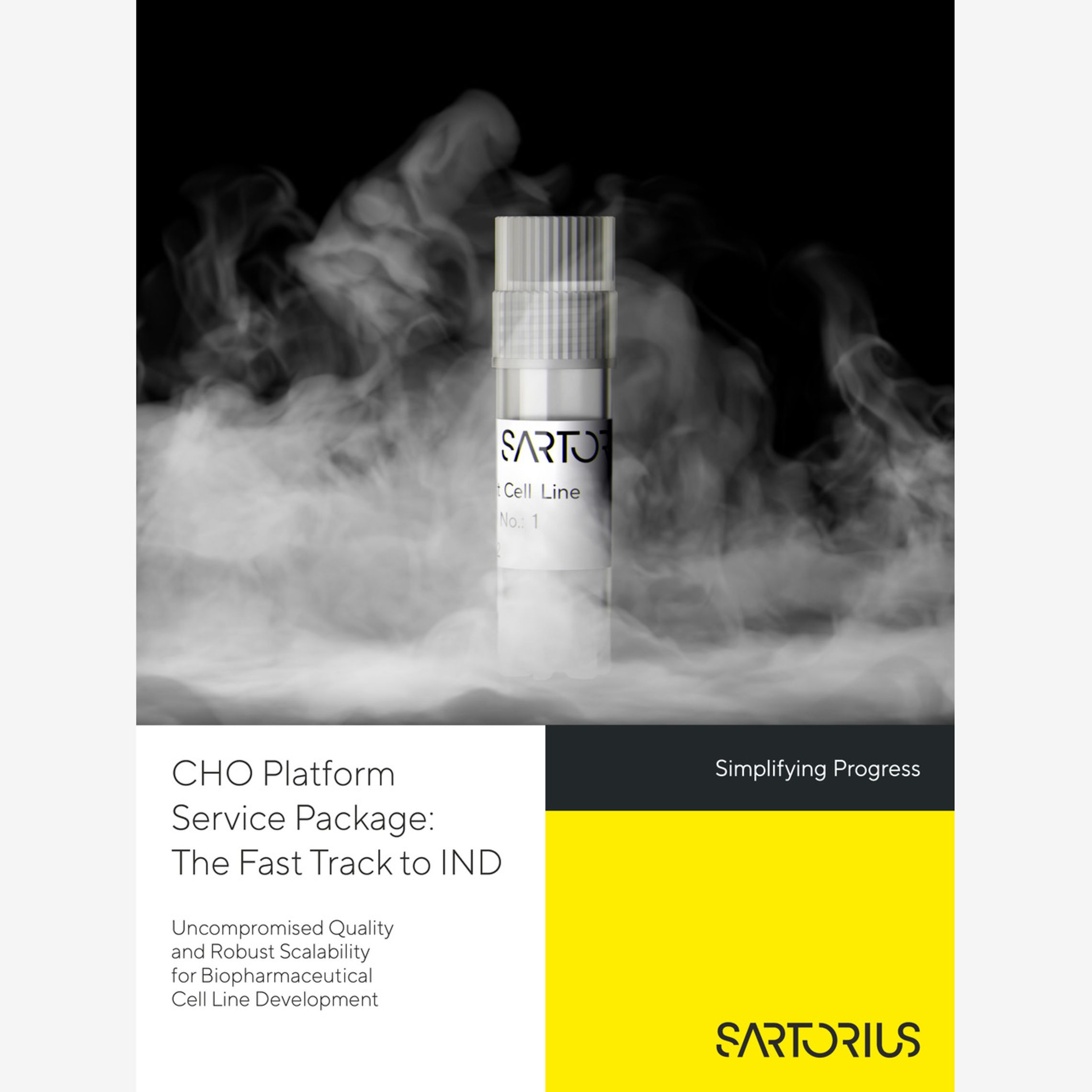 4Cell® CHO Platform Service Package: The Fast Track to IND
