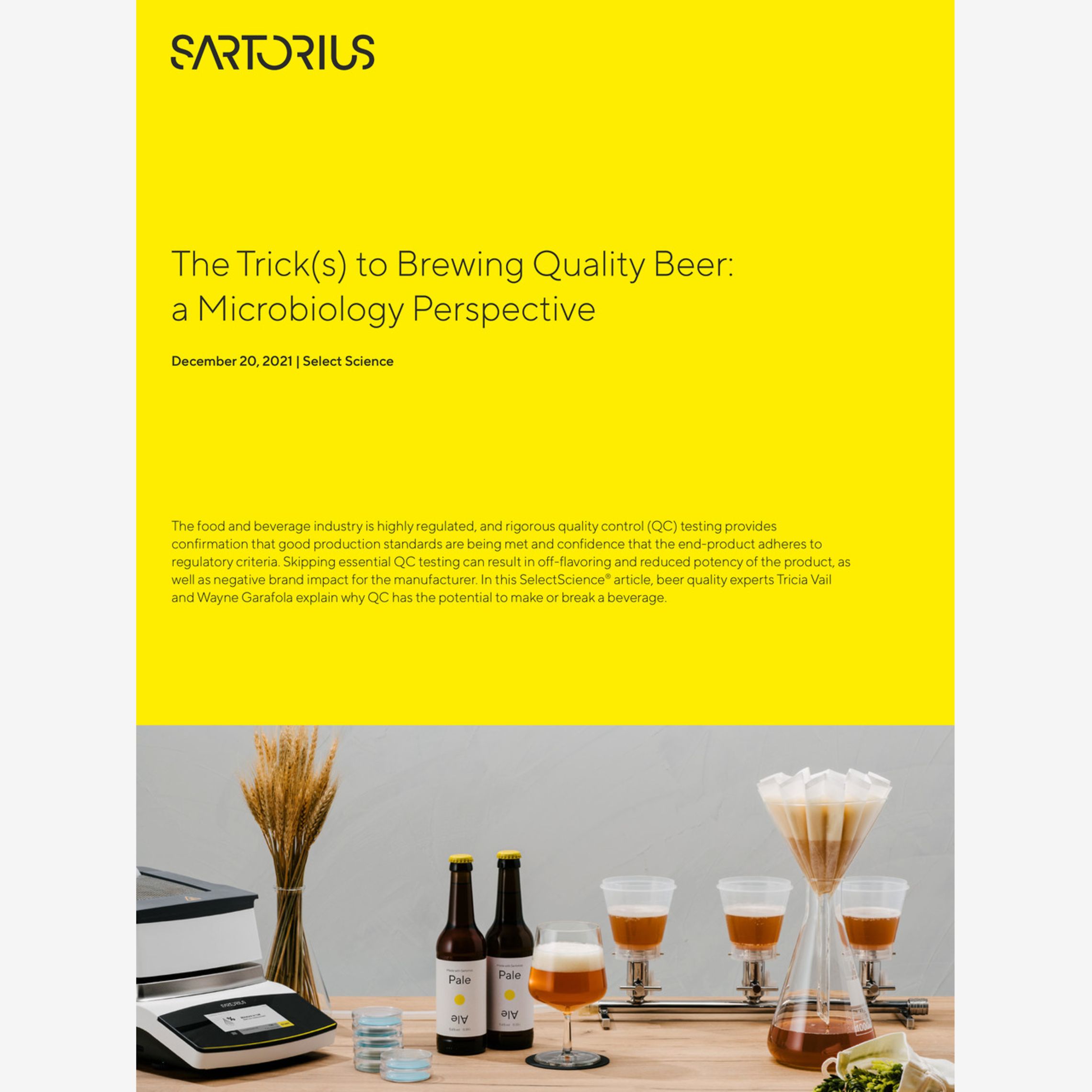Article - The Trick(s) to Brewing Quality Beer: A Microbiology ...