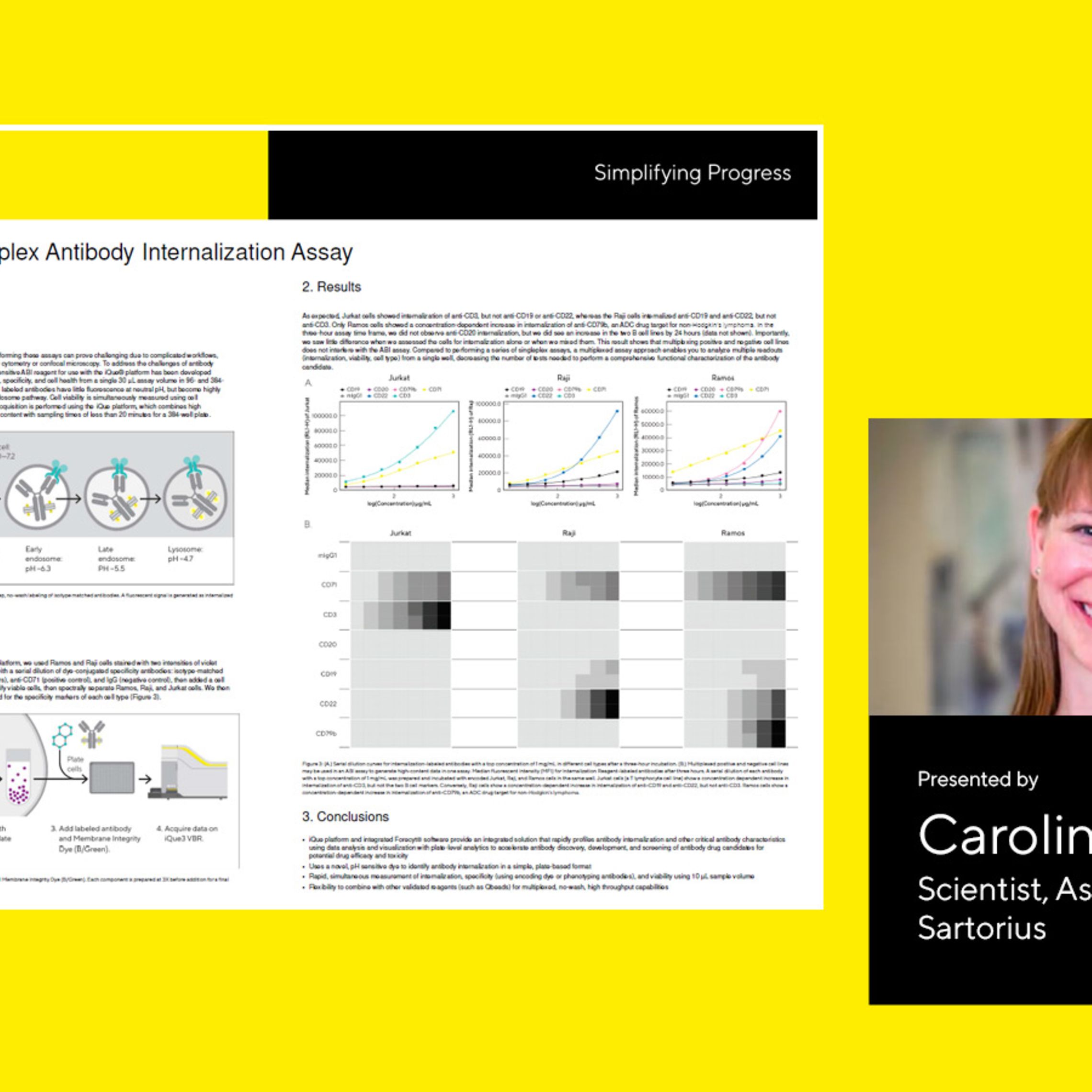 A High Throughput, Multiplex Antibody Internalization Assay