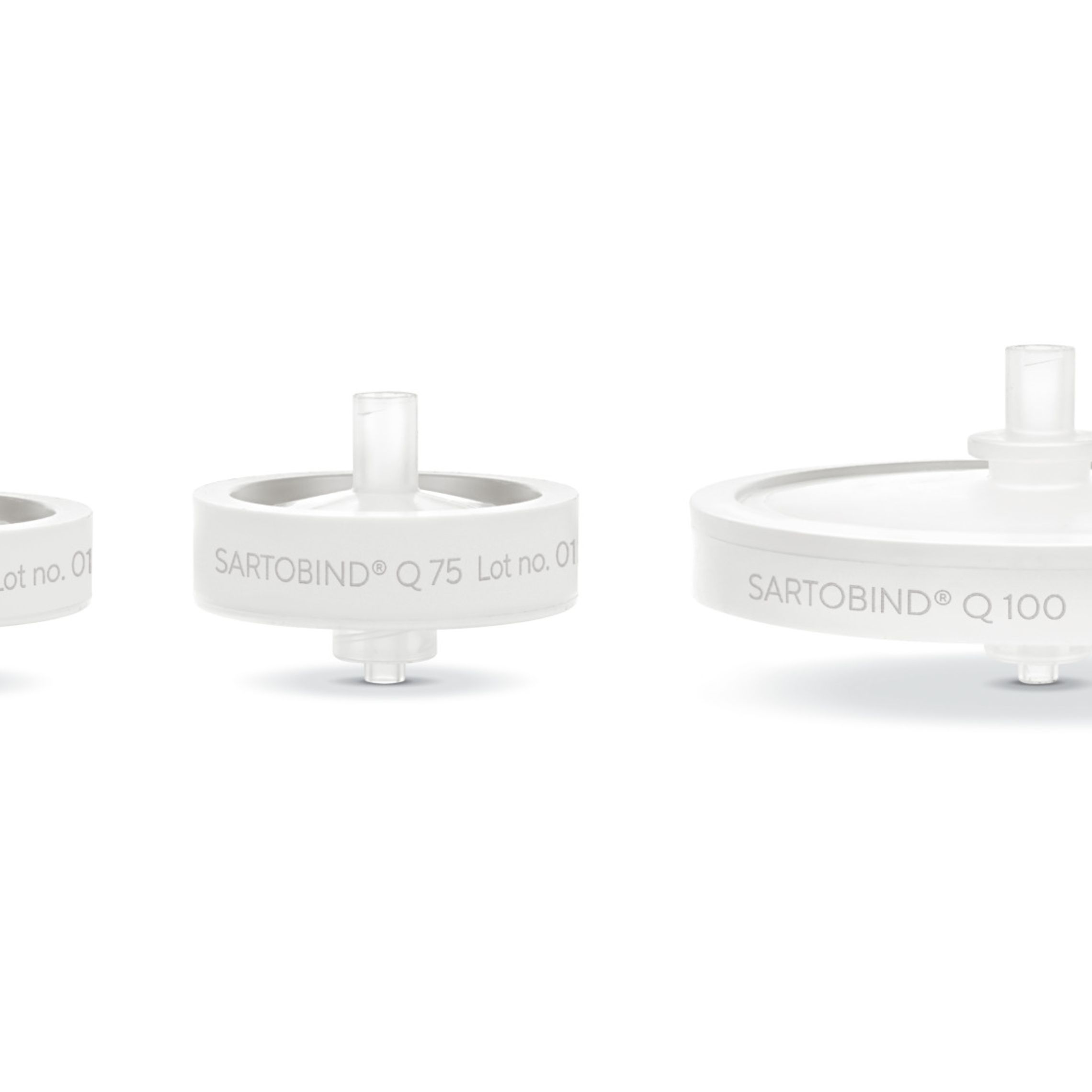 Ion Exchange Chromatography for Research and Development | Sartorius