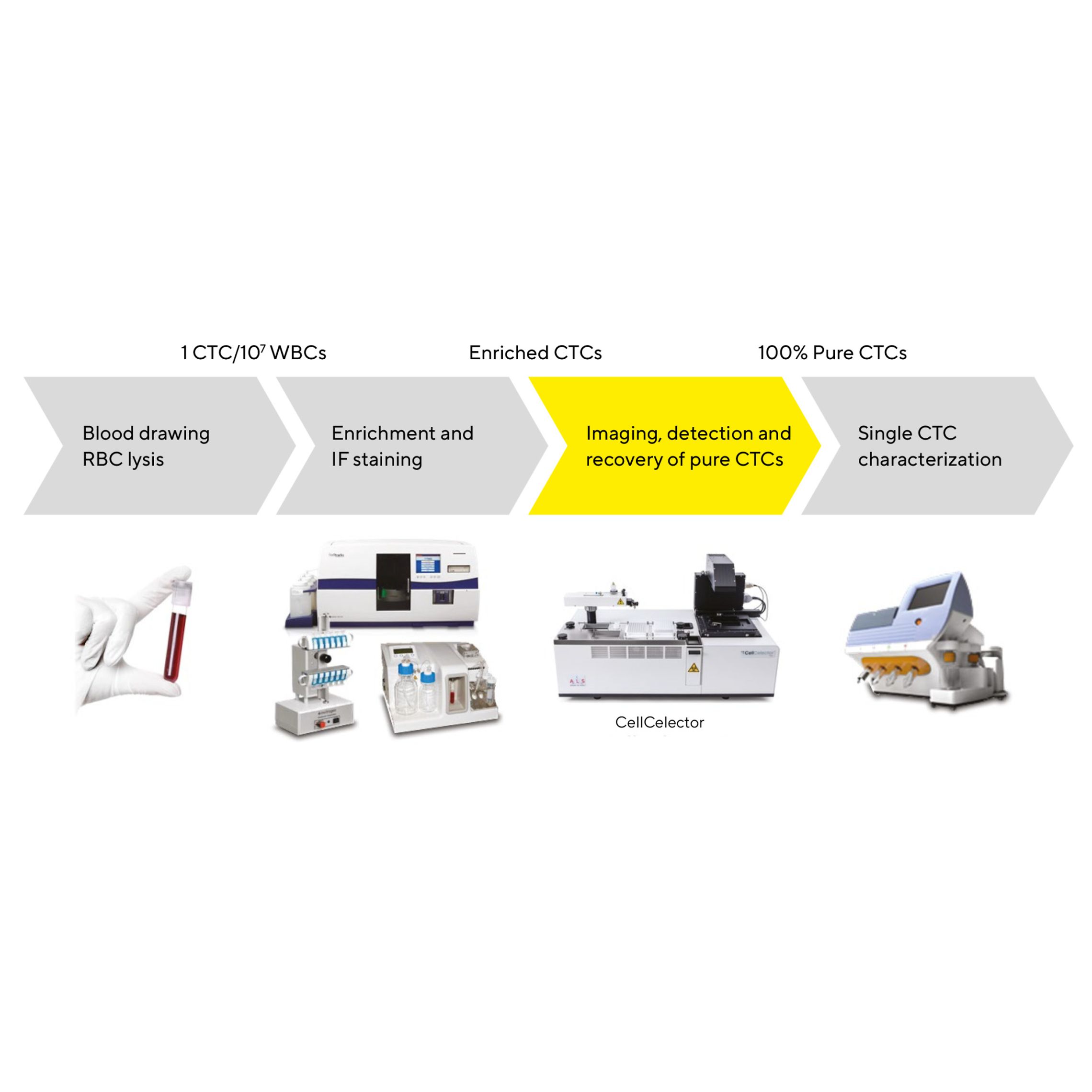 Circulating Tumor Cells (CTCs) | Sartorius