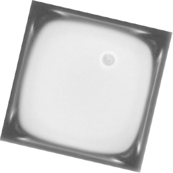 Single Cell Cloning for CLD | Sartorius