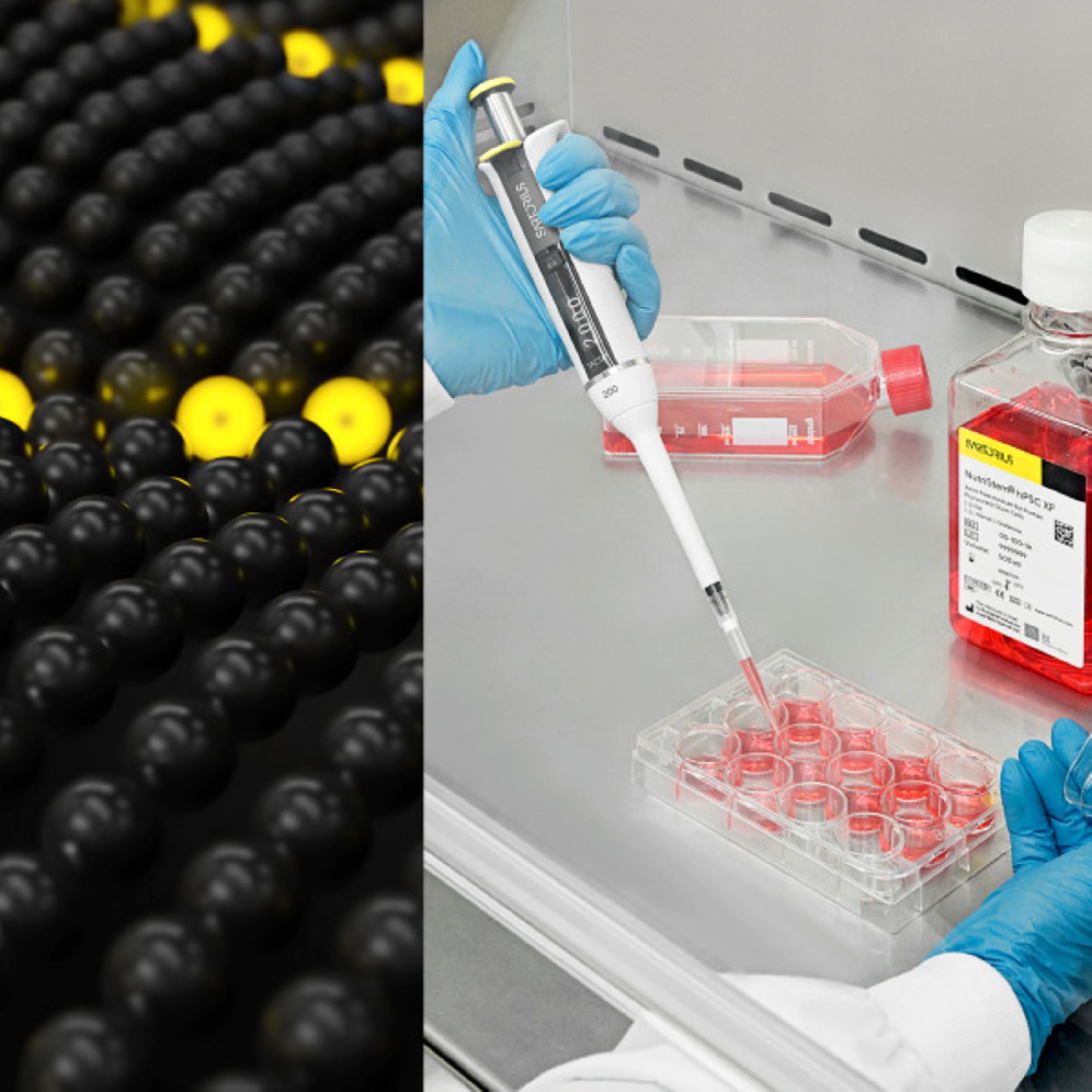 Stem Cell Media | Sartorius