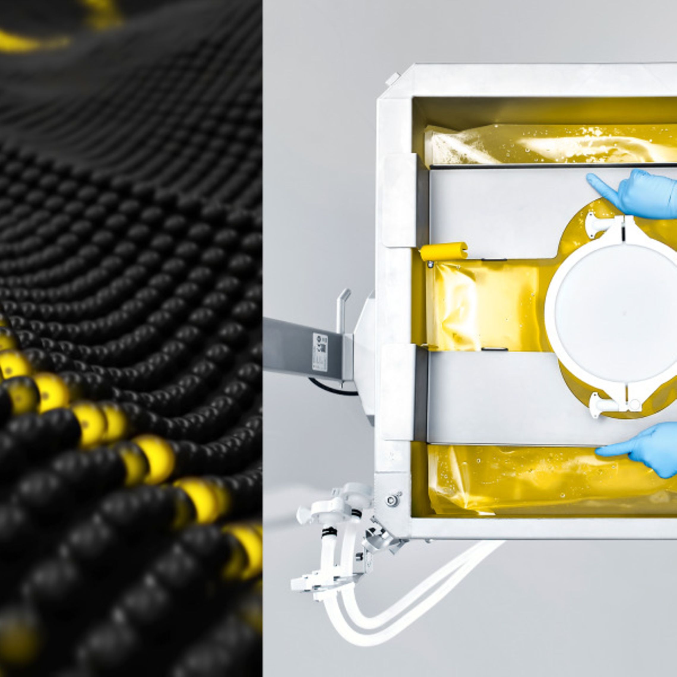 Cell Culture Reagents & Supplements | Sartorius
