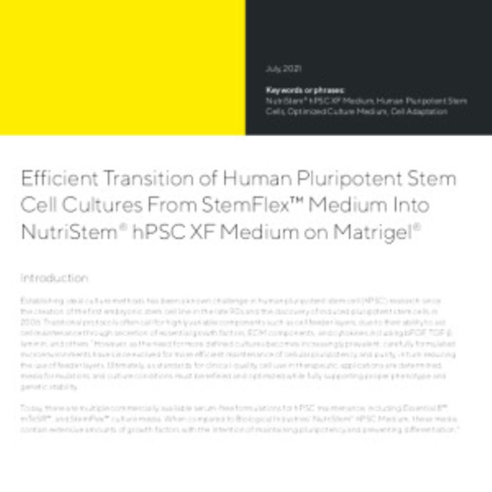 Transition hPSCs From StemFlex™ to NutriStem® Medium on Matrigel®