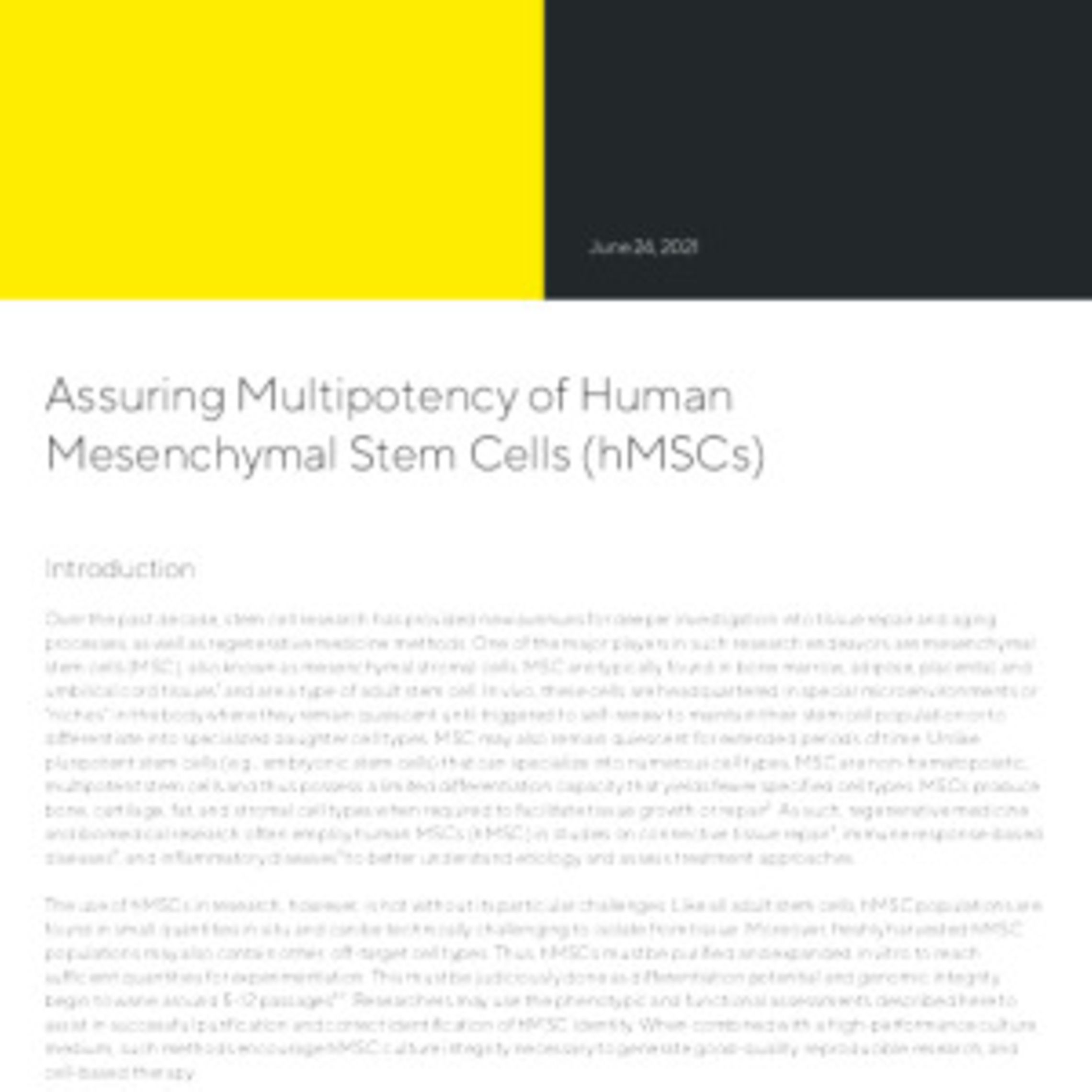 Assuring the Multipotency of Your Human Mesenchymal Stem Cells