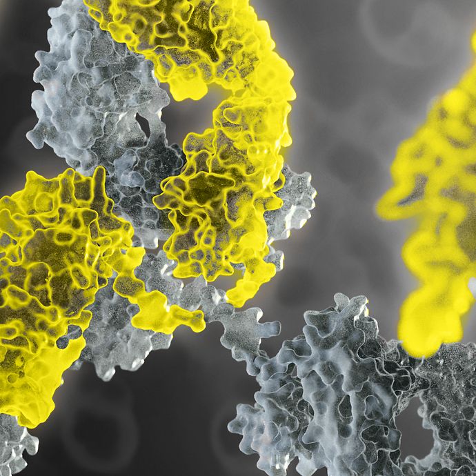 Cell Line Development for BioProcessing | Sartorius