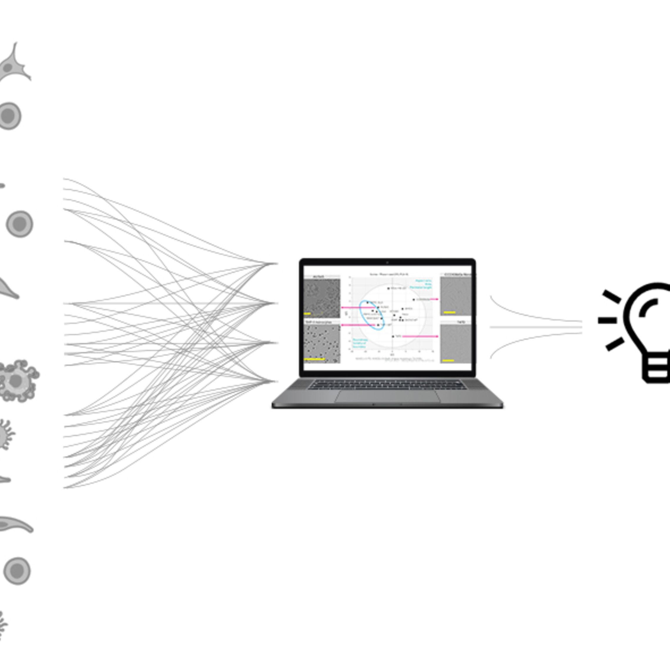 How to Go from Cell Image to Insight, with Multivariate Analysis