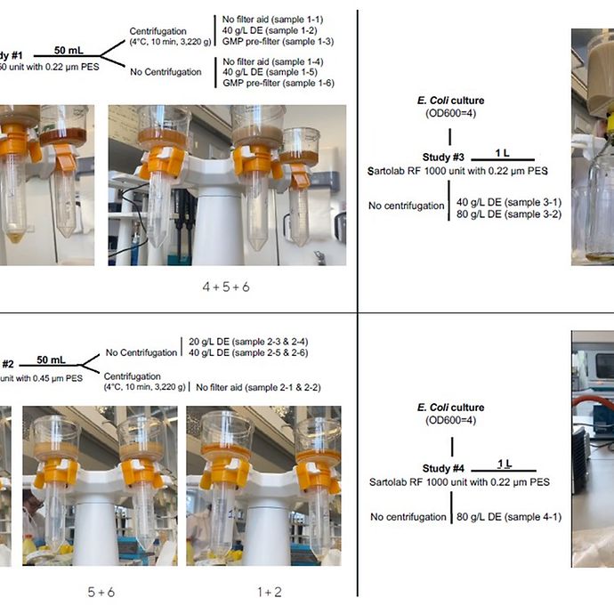 Centrifuge-Free Clarification of Large-Volume Bacterial Cultures Using ...
