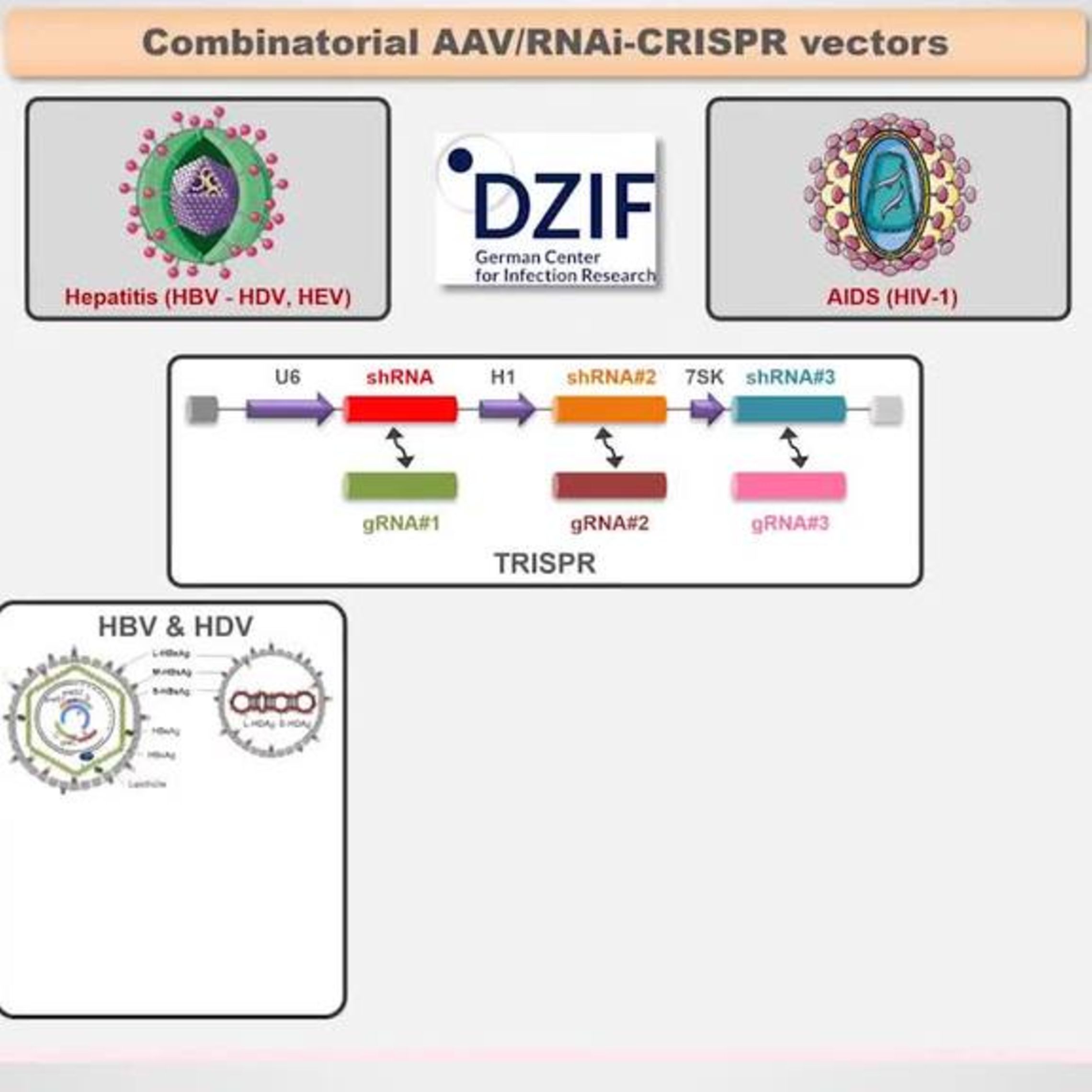 Advancing Effective Antibody-Based Therapeutics Discovery Assays
