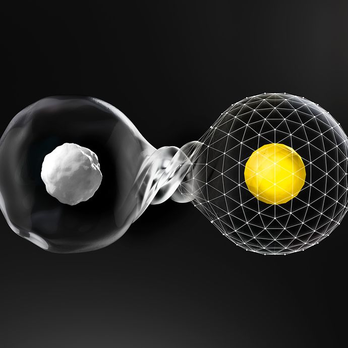 Cell Insights by Umetrics® Studio | Sartorius