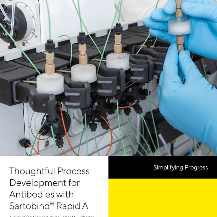 Learn How to Benefit From a Thoughtful Process Development Strategy