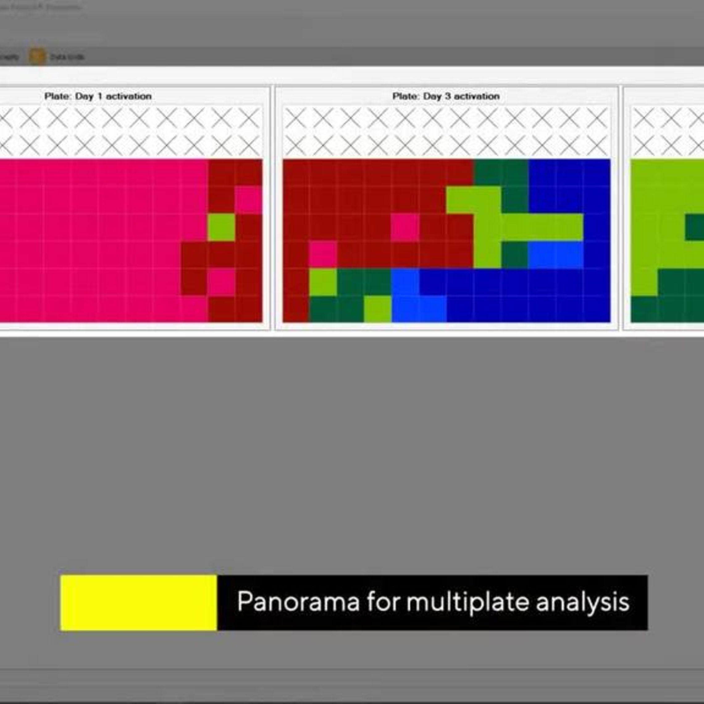 iQue Forecyt® Software and T-Cell Activation Workflow
