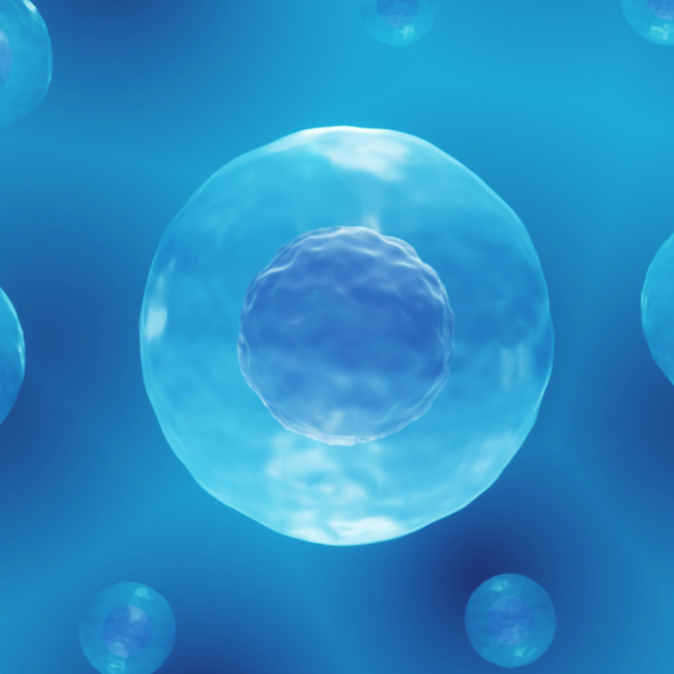 Webinar: Maximizing the Success of 3D Cell Models for Clinical Research