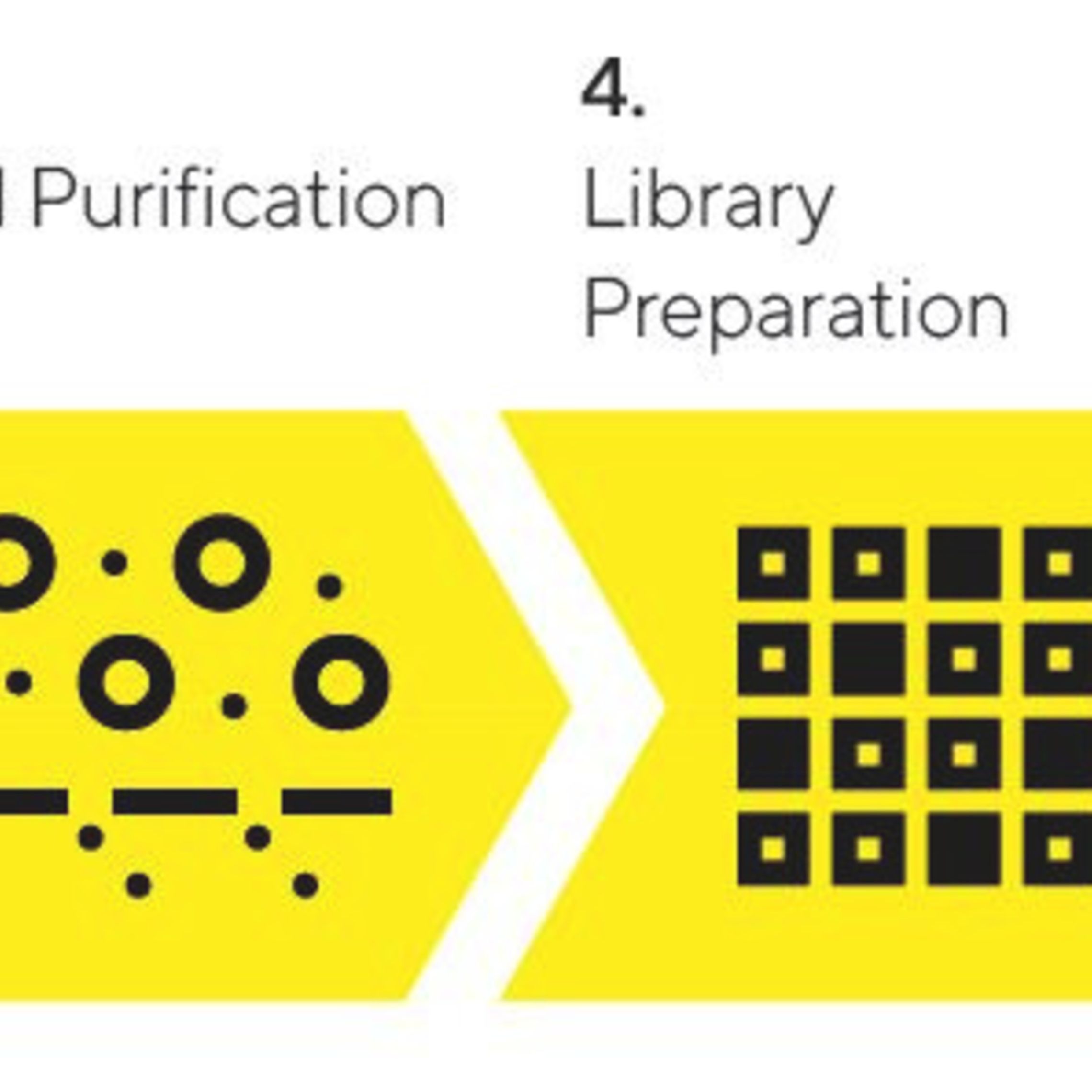 single-cell-analysis-integration-of-spatial-cell-selection-with