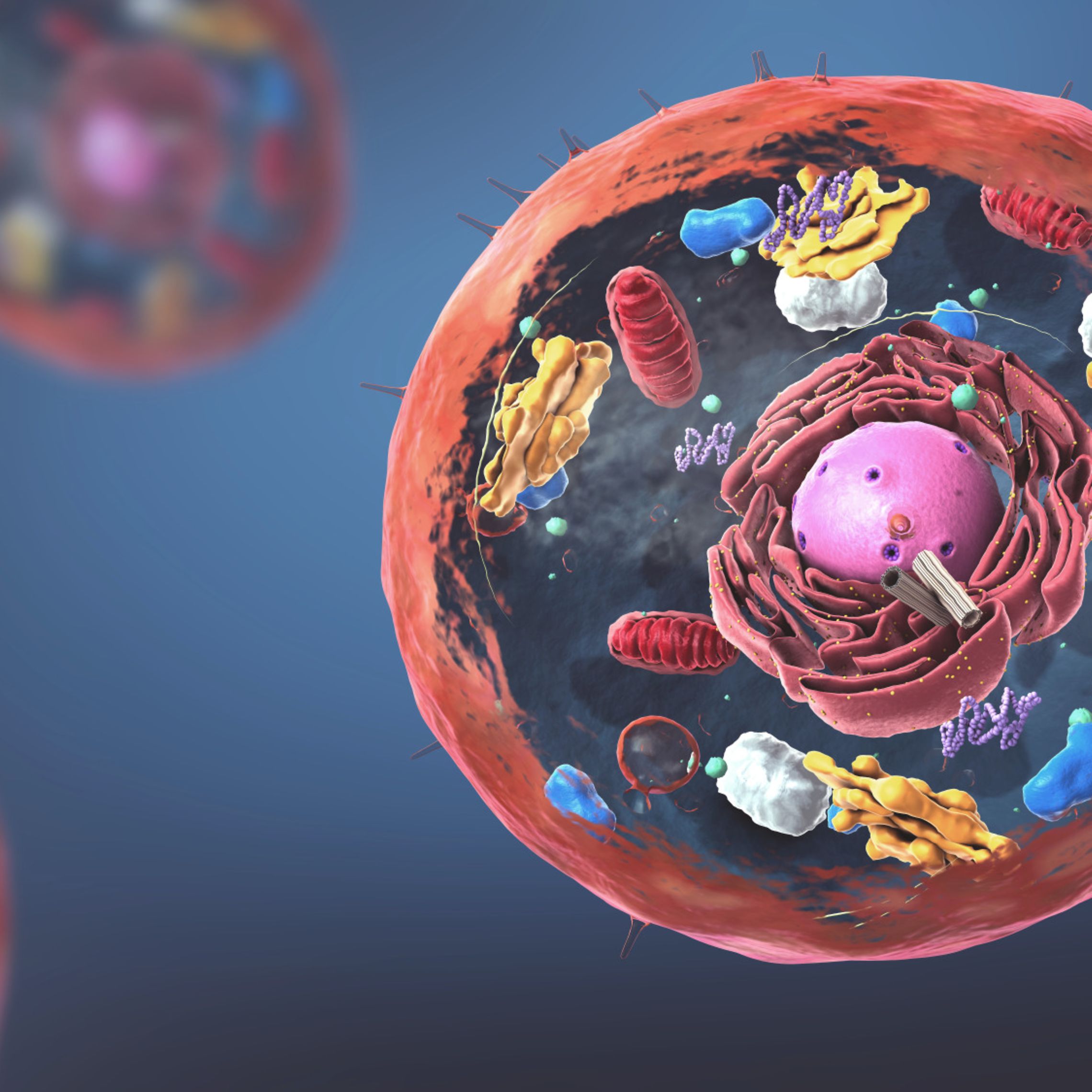Simplified Characterization of Cells: Evaluating Cell Count, Health and ...