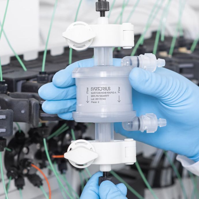 Optimizing mAb Process Development for 10X Productivity