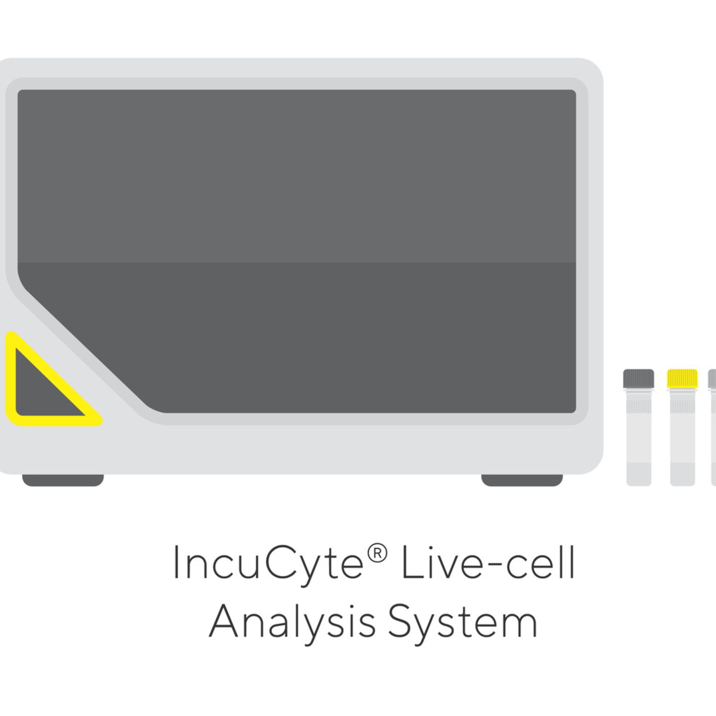 World Organoid Research Day – Meet Sartorius | Sartorius