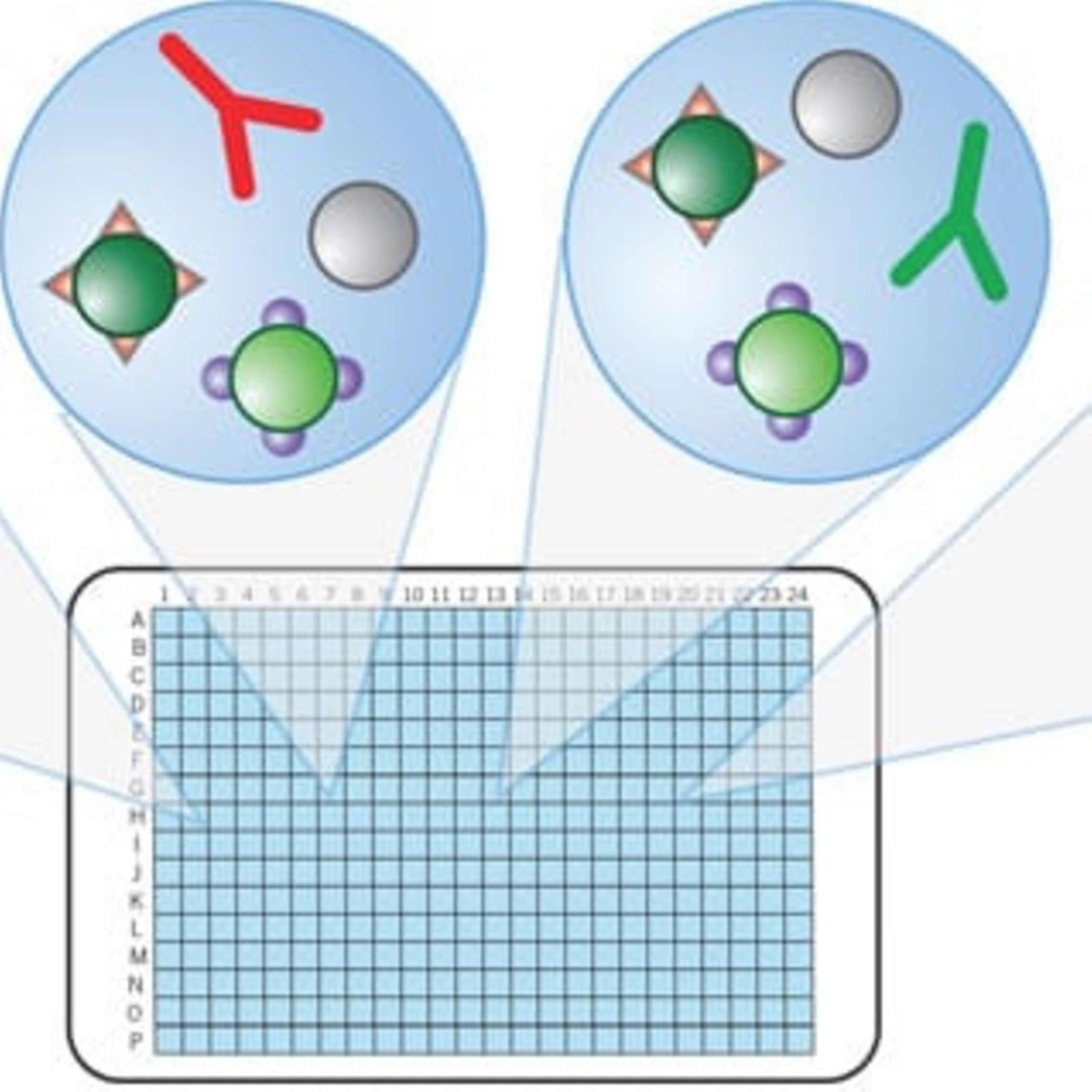 Antigen Expression & Selection| Sartorius