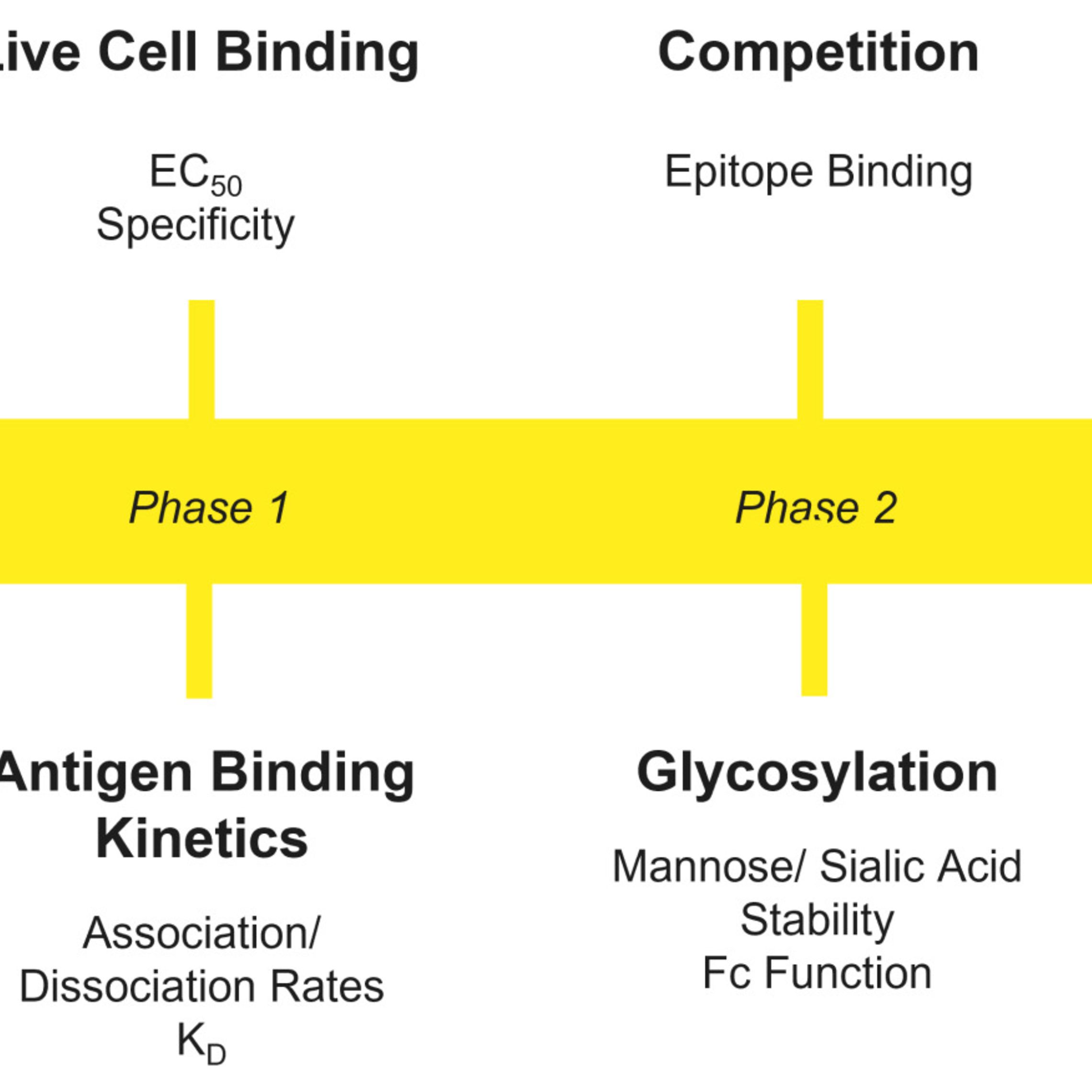 Advanced Flow Cytometry and BLI Label-Free Detection for Binding and ...