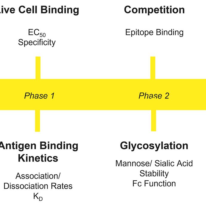 Advanced Flow Cytometry and BLI Label-Free Detection for Binding and ...