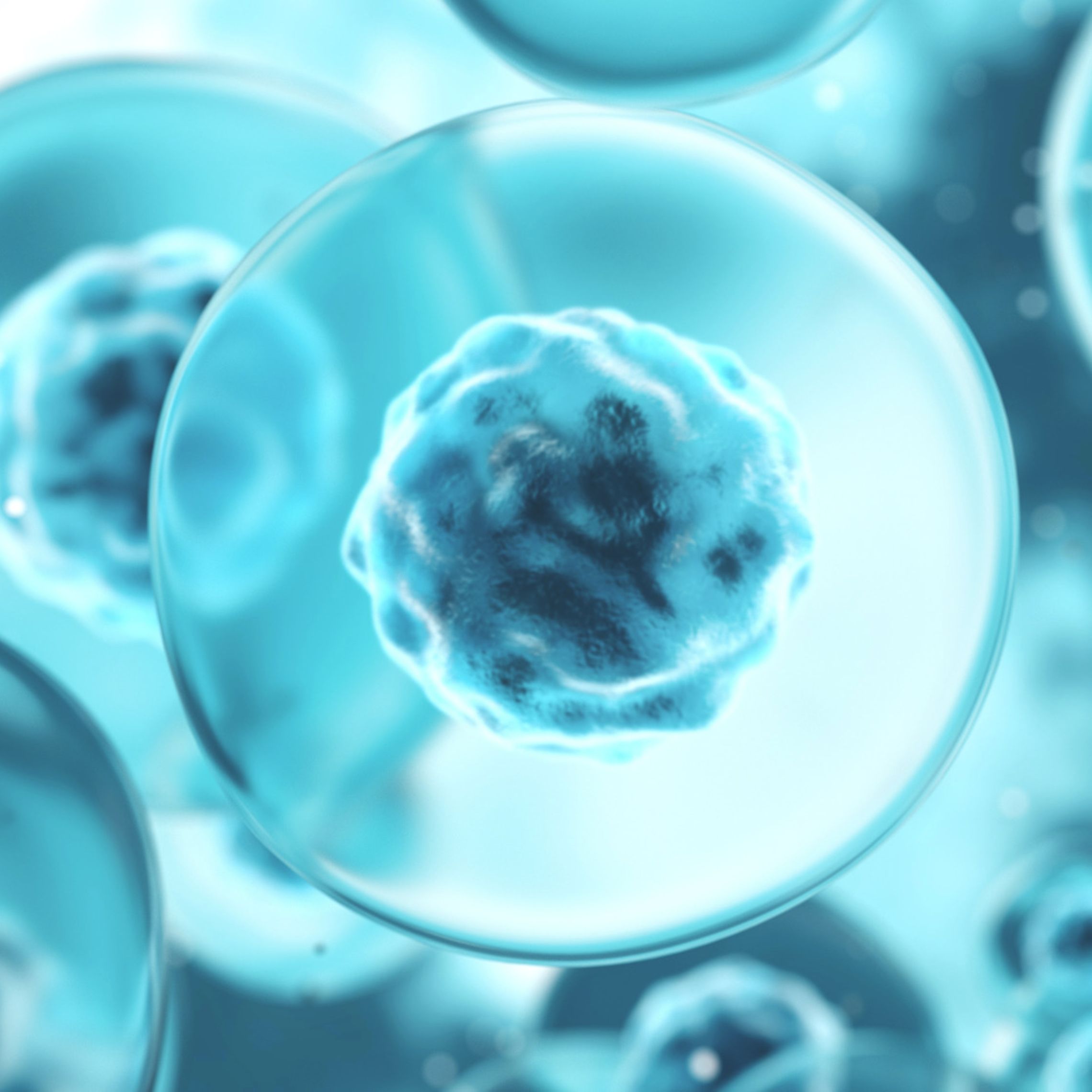 Engineering Cell Lines for Rare Disease Research and Precision ...