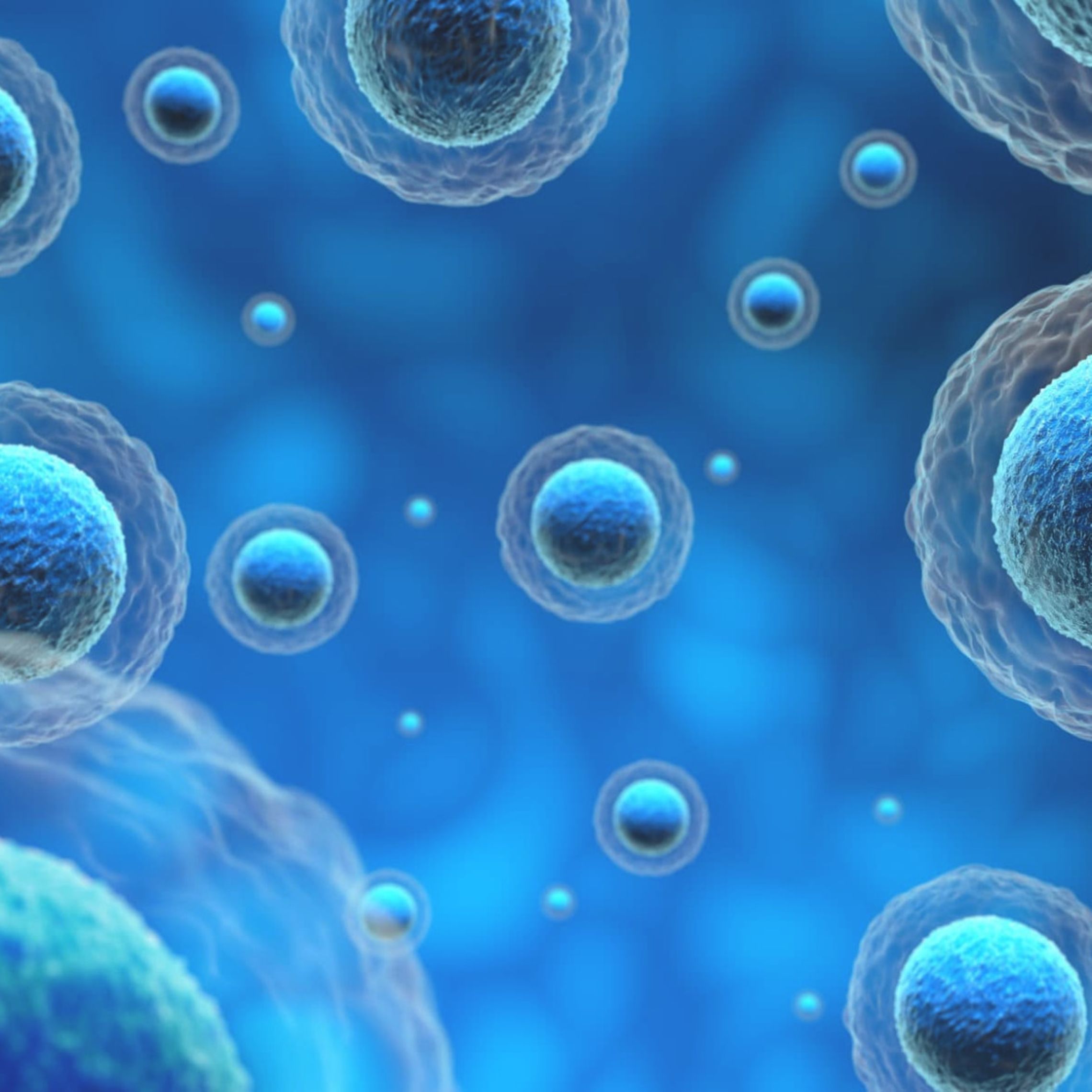 Viable, High-Throughput Cell Density Determination Using the iQue ...