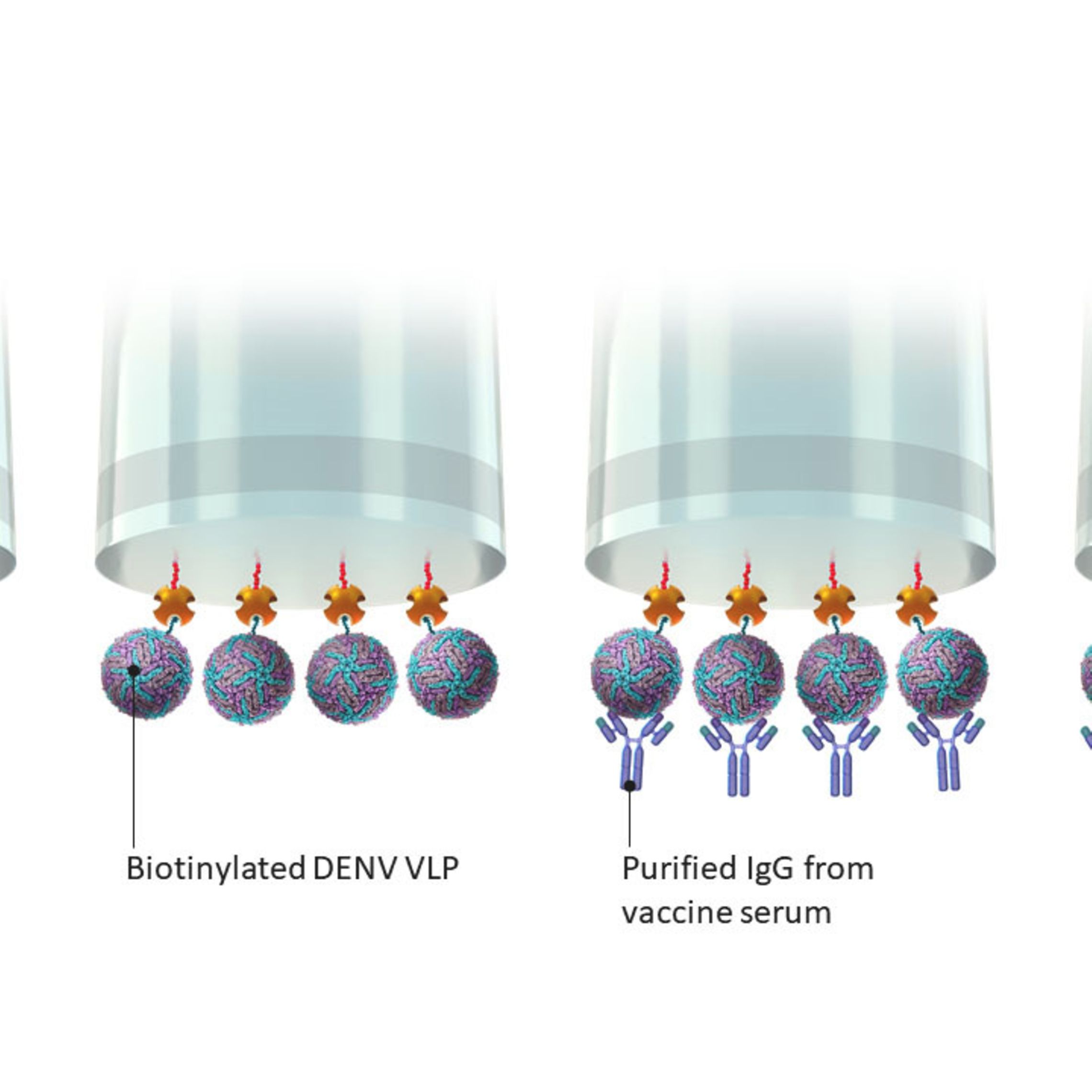 Rapid and Efficient Measurement of Critical Quality Attributes and ...