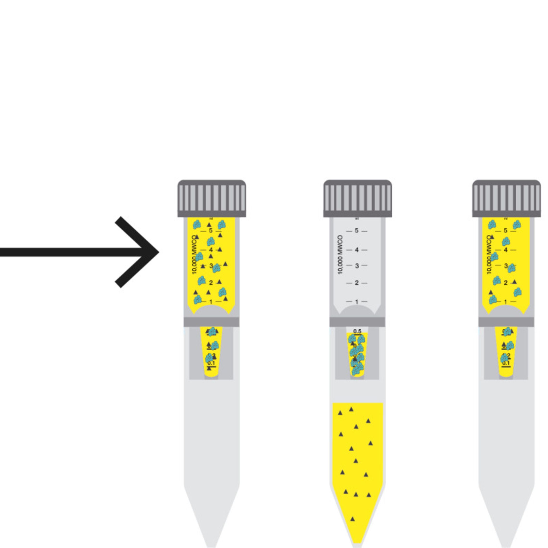 Downstream Vaccine Research