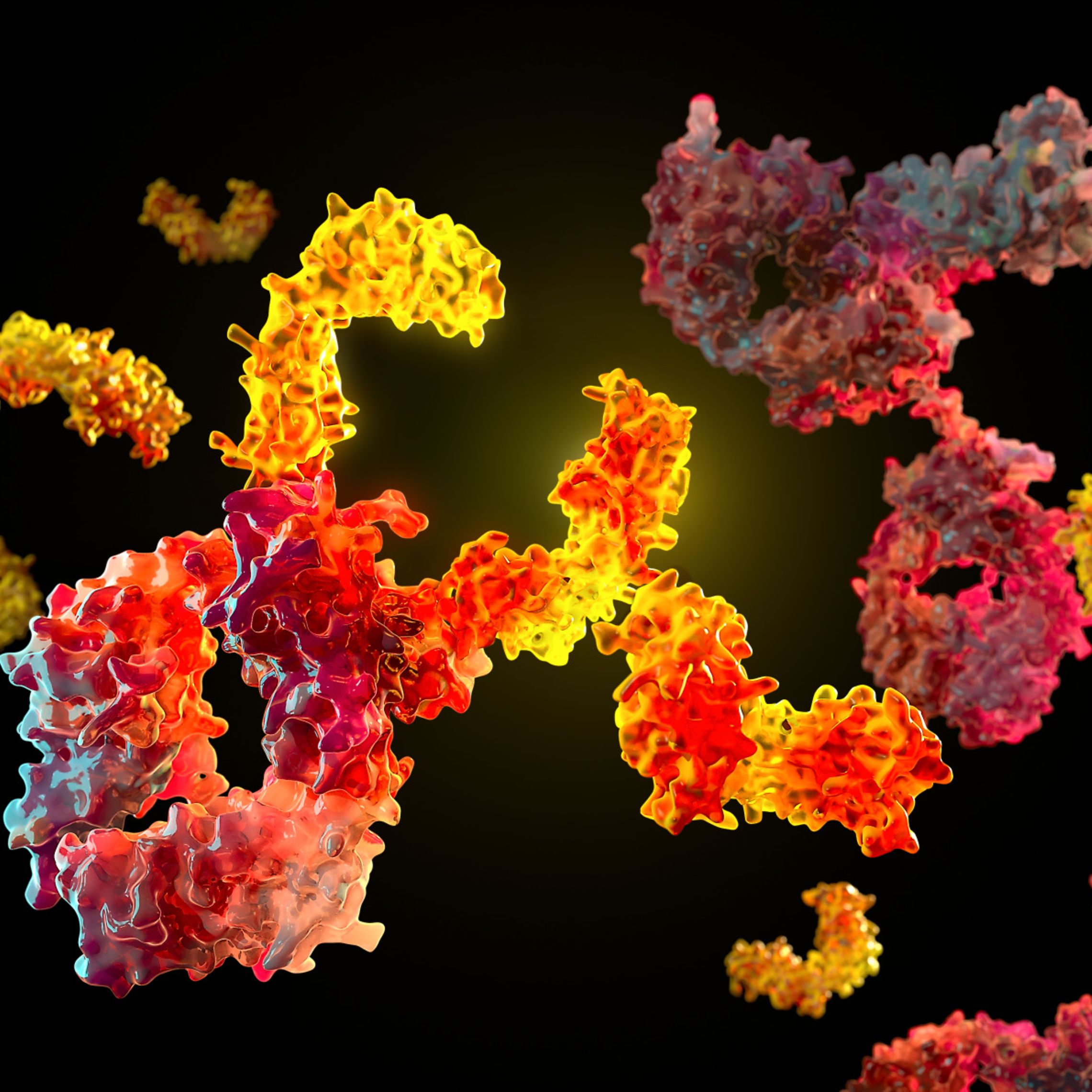Monoclonal Antibody Discovery & Development | Sartorius