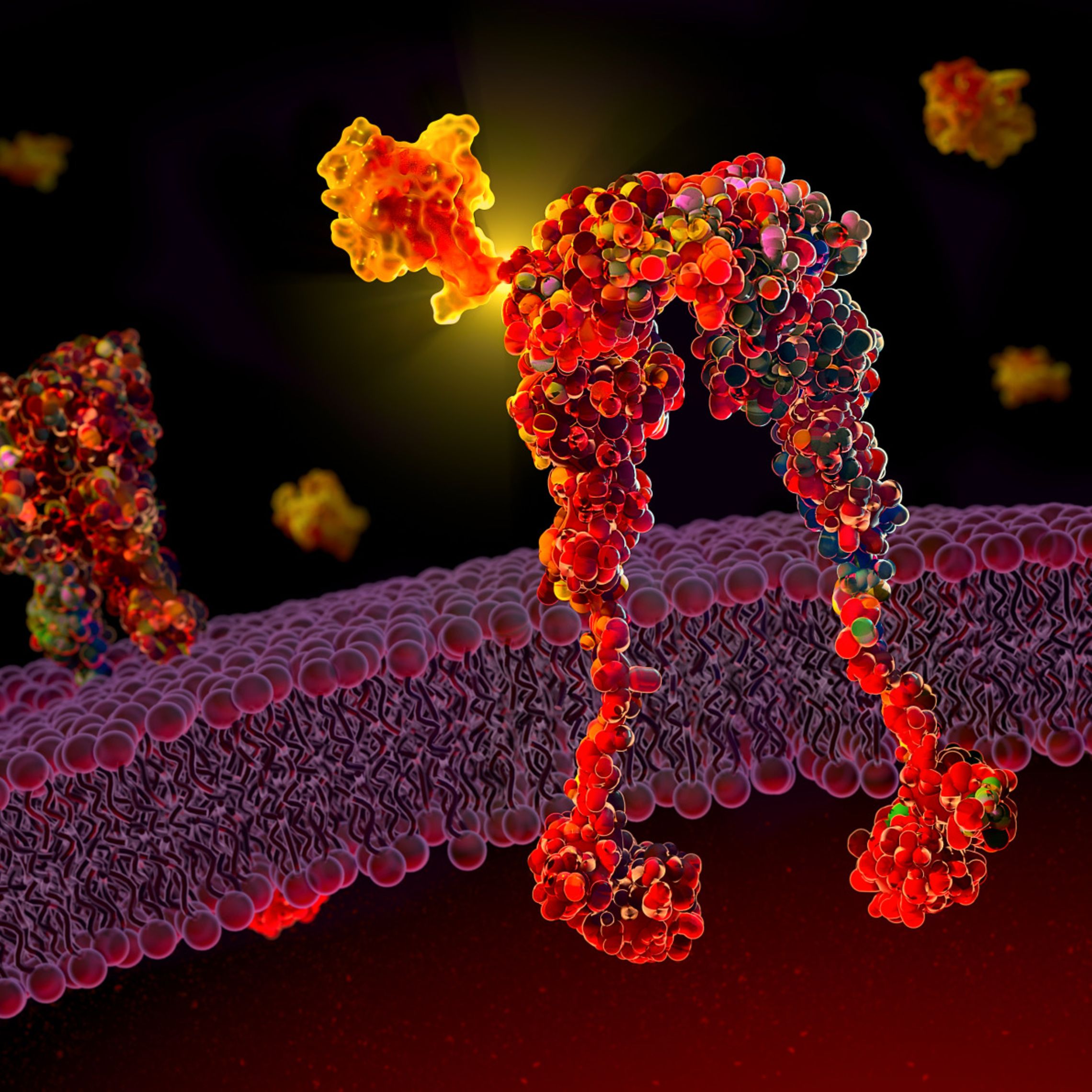 Therapeutic Peptides