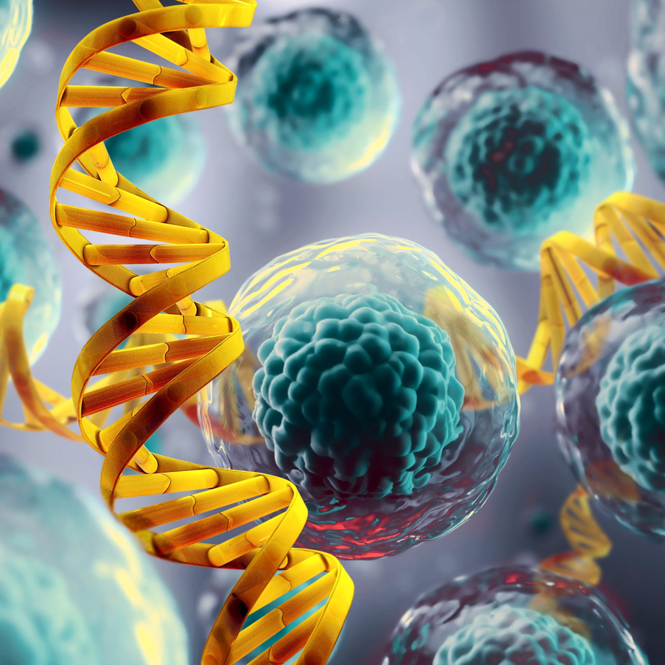 Beyond Basic Biology: Elevating Stem Cell Potential with Advanced Cell ...