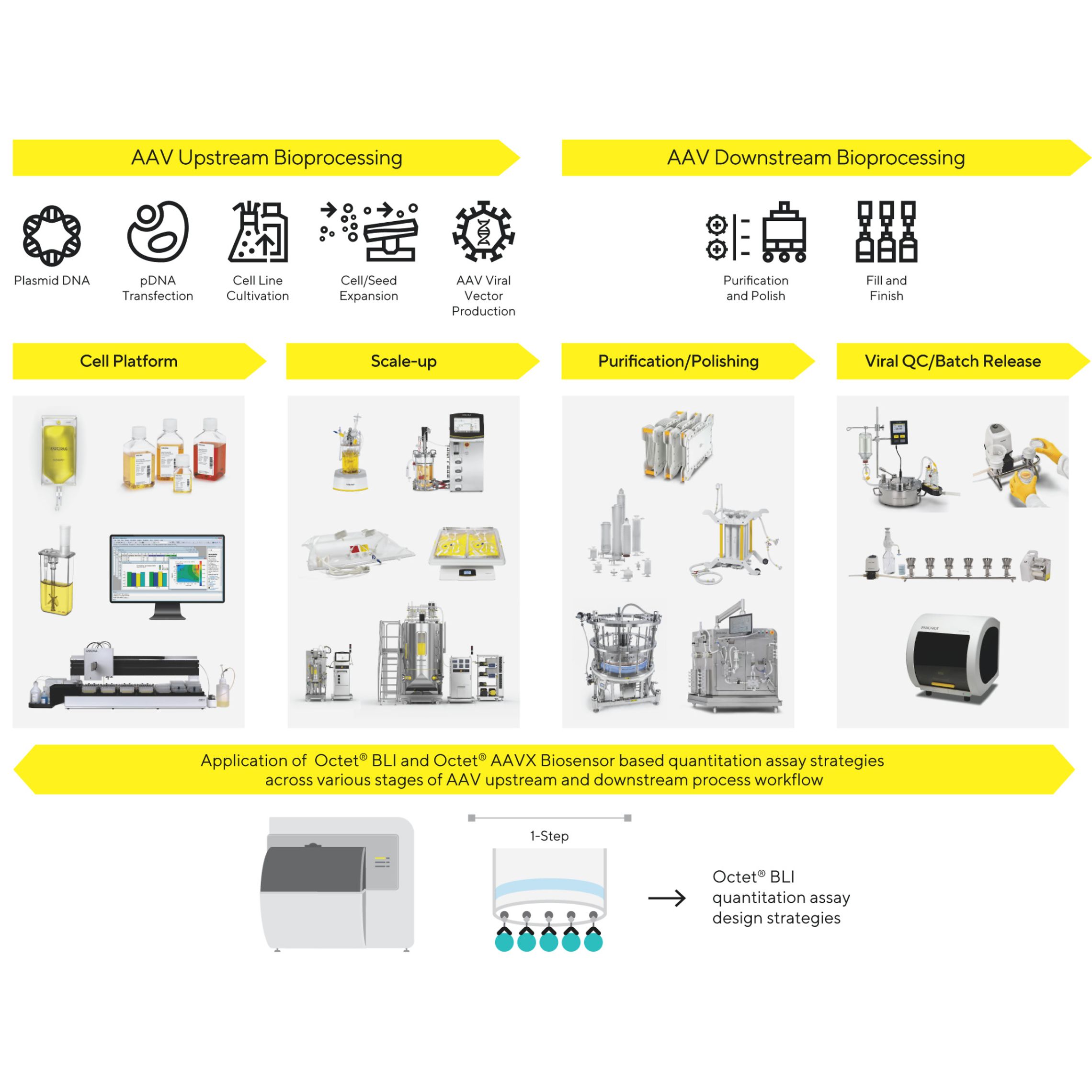 Octet® AAVX Biosensors | Sartorius