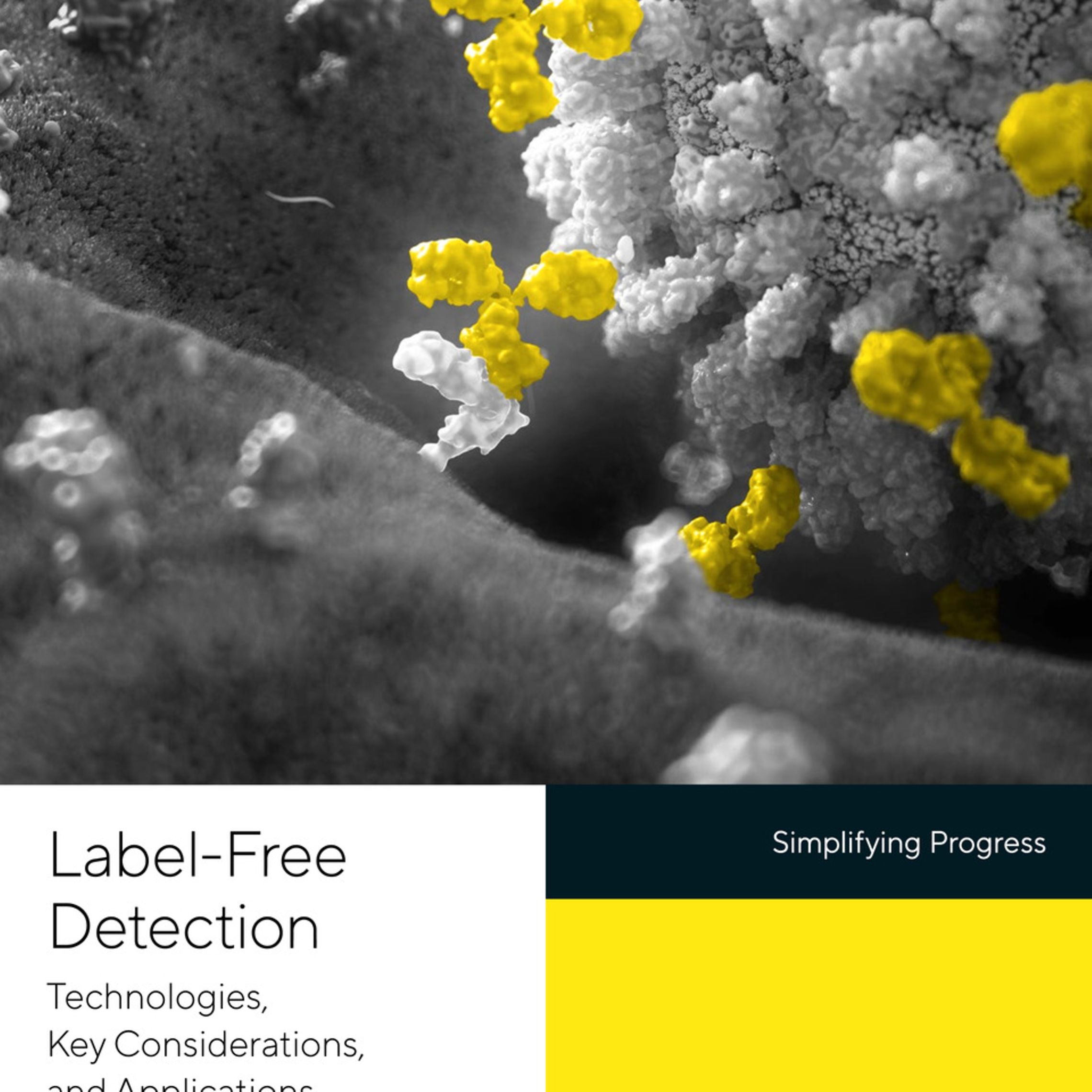 Label-Free Detection Technologies: Key Considerations and Applications ...