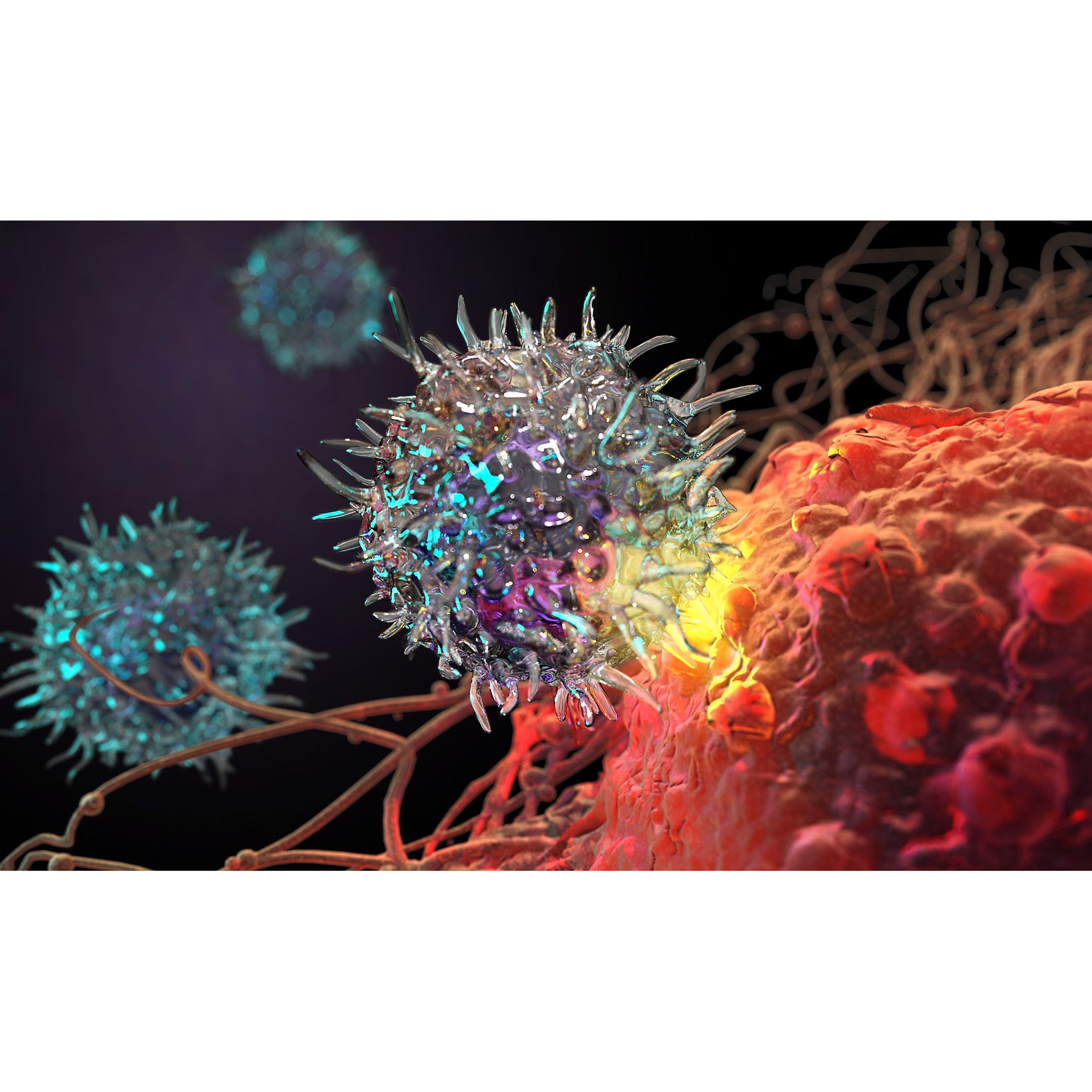 CAR Construct Design & Screening | Sartorius