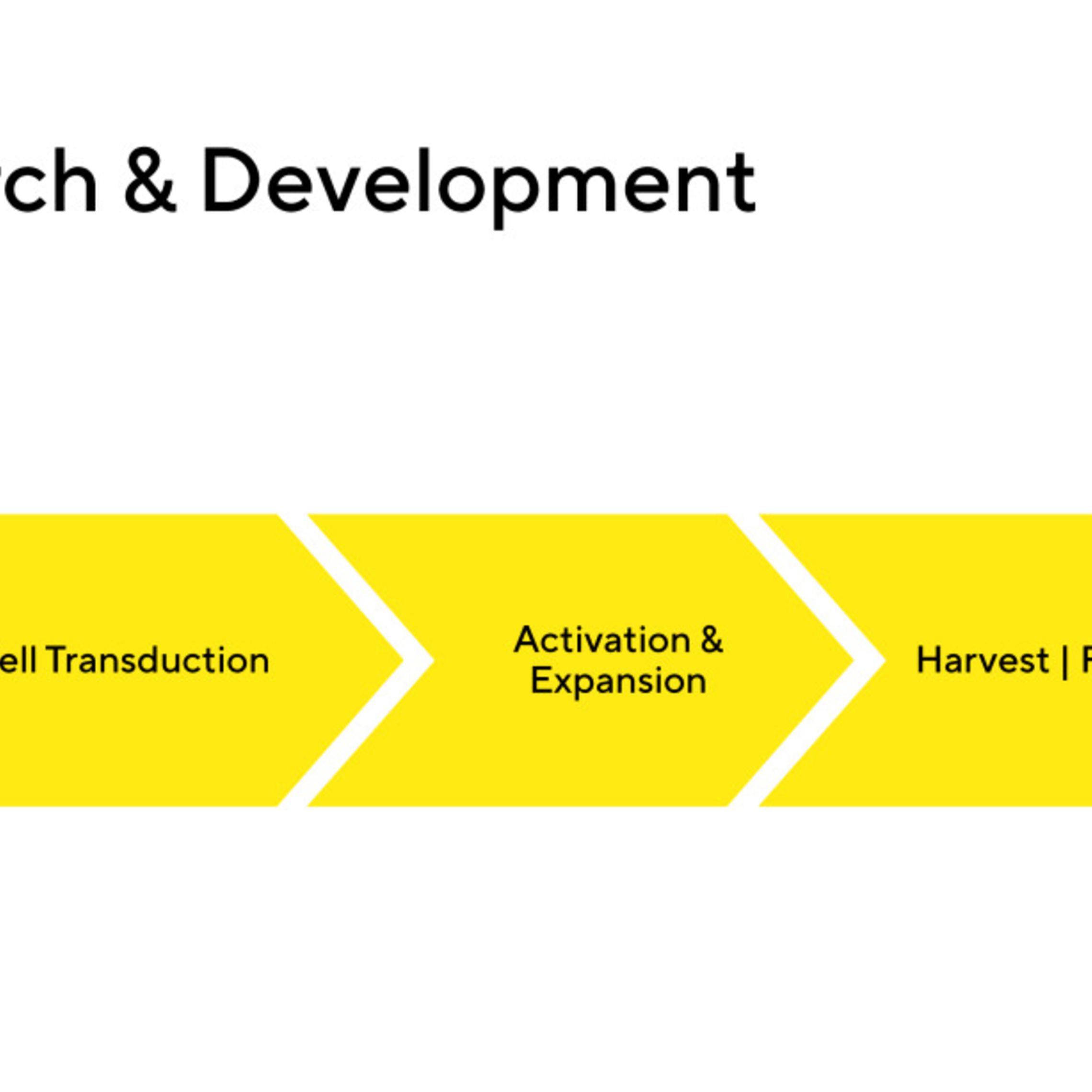 CAR-T Therapy Research & Development | Sartorius