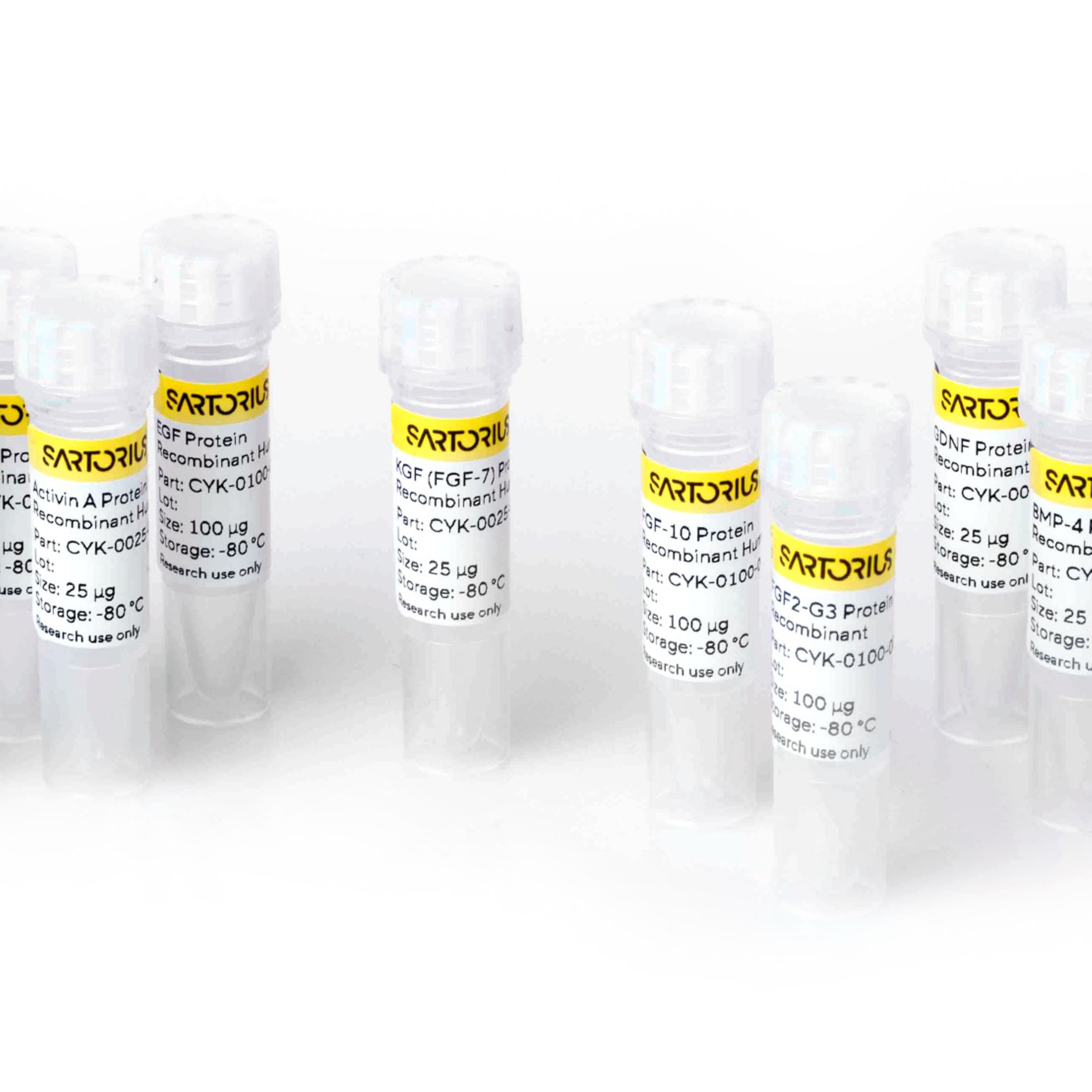 Advanced Cell Models for Scalable and Reproducible Disease Models ...