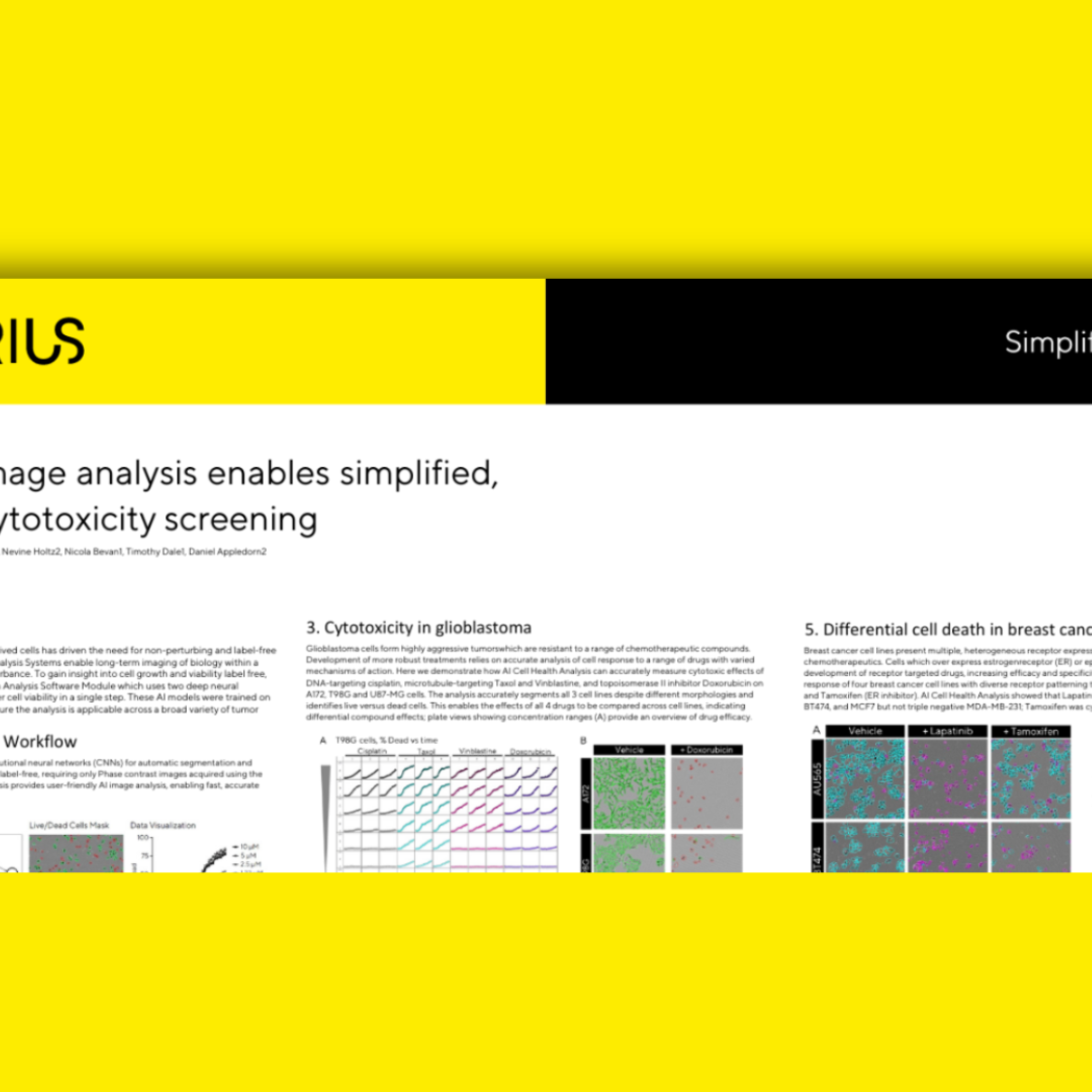 AI-Driven Image Analysis Enables Simplified, Label-Free Cytotoxicity ...